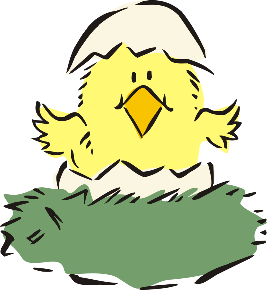 Duck eggs hatch easter 39300383 PNG Duck eggs hatch easter 39300383 PNG