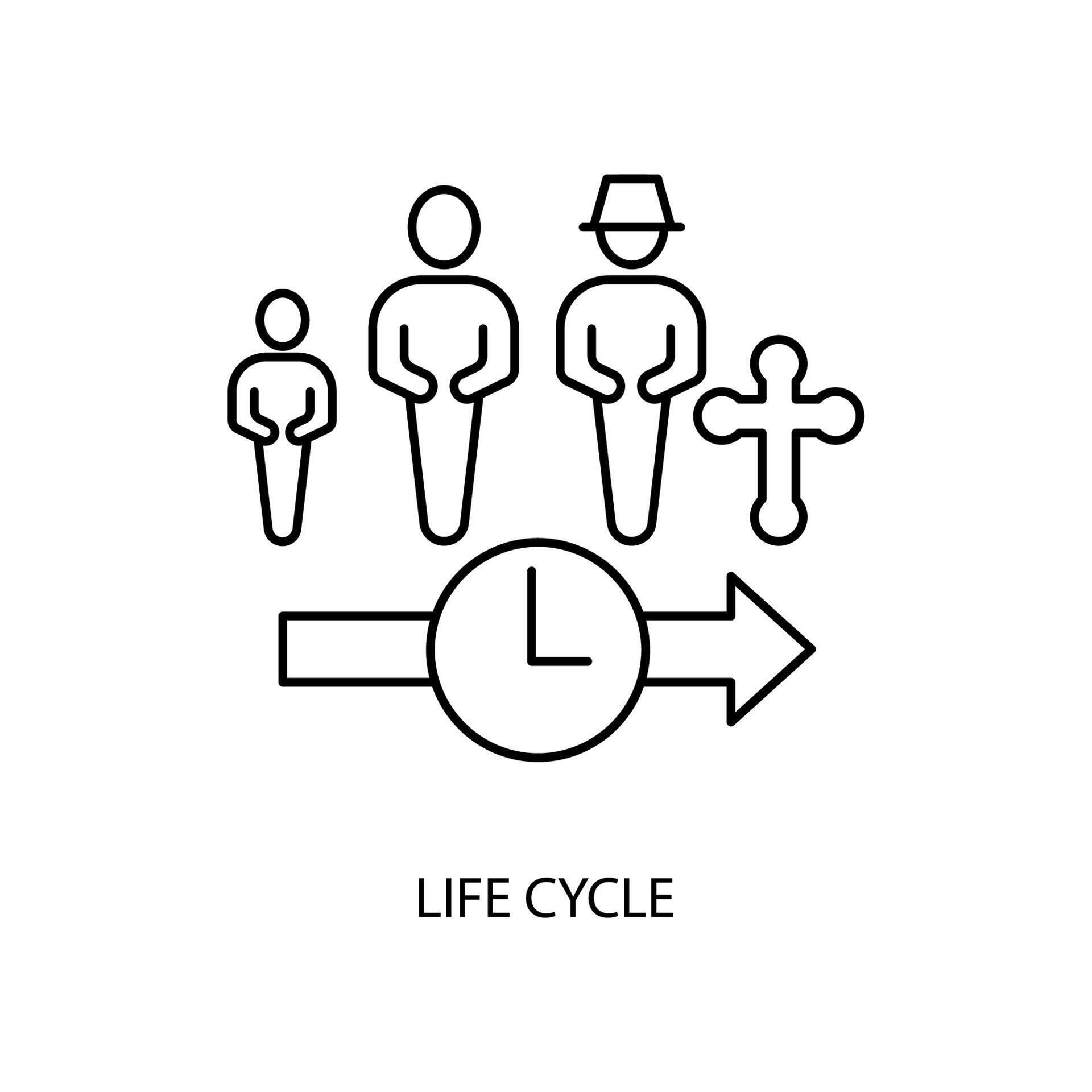 life cycle concept line icon. Simple element illustration. life cycle concept outline symbol ...