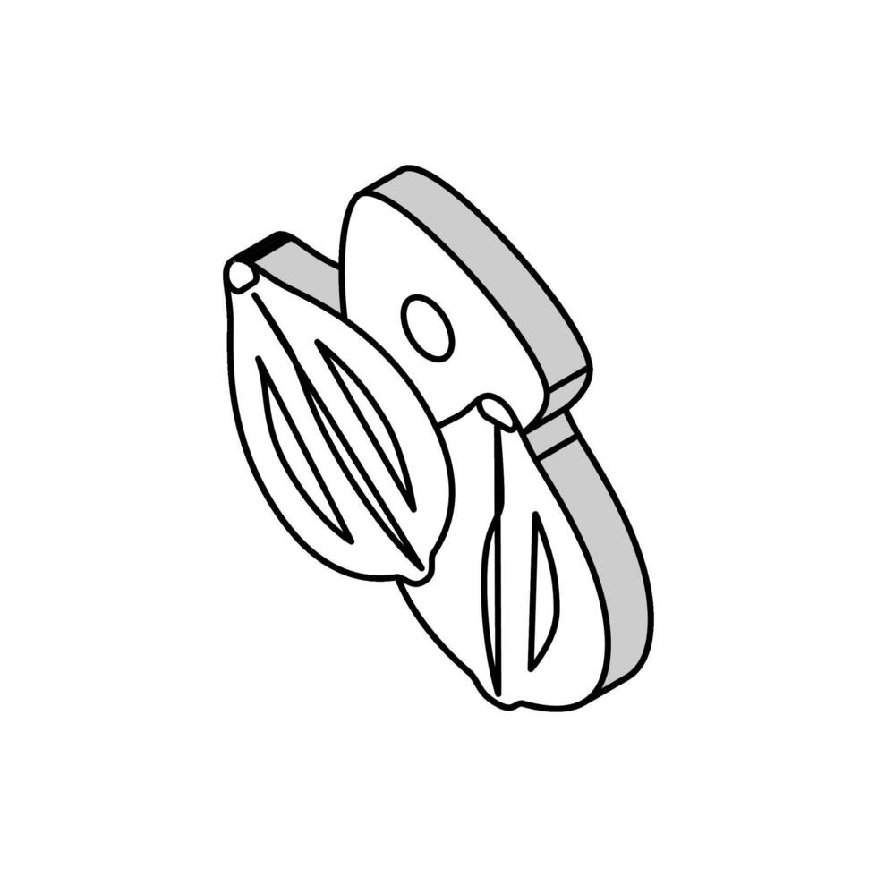 buckwheat seed isometric icon vector illustration 39316091 Vector Art ... buckwheat seed isometric icon vector illustration 39316091 Vector Art ...
