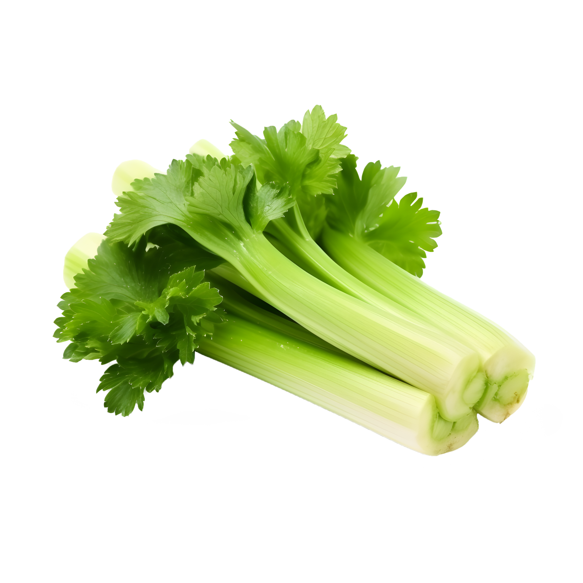 AI generated Celery isolated on transparent background 39325162 PNG