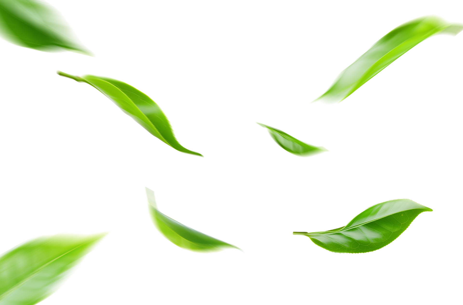 Green Floating Leaves Flying Leaves Green Leaf Dancing 39325275 PNG Green Floating Leaves Flying Leaves Green Leaf Dancing 39325275 PNG