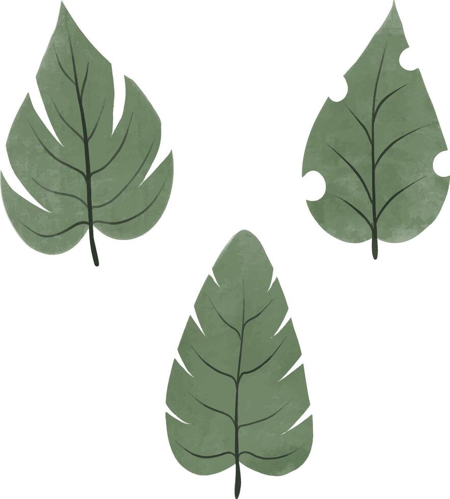 leaf, nature, plant, spring, tree, leaves, frame, branch, summer ...