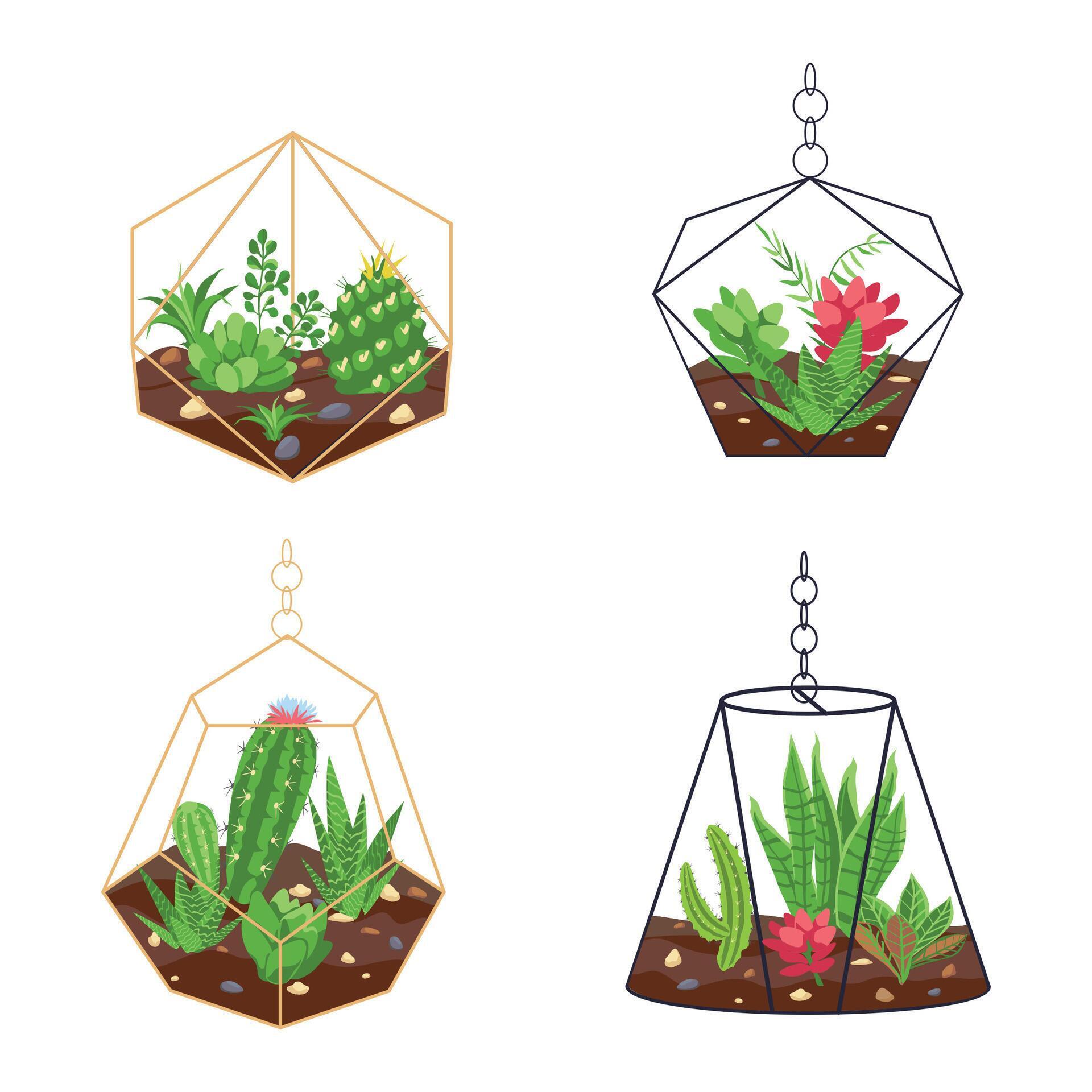 Florarium plants, green plant with leaf in pot 39374420 Vector Art at ...