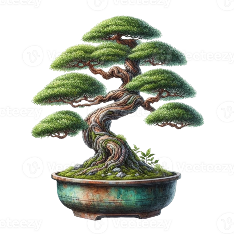 AI generated bonsai tree cute 39558048 PNG AI generated bonsai tree cute 39558048 PNG