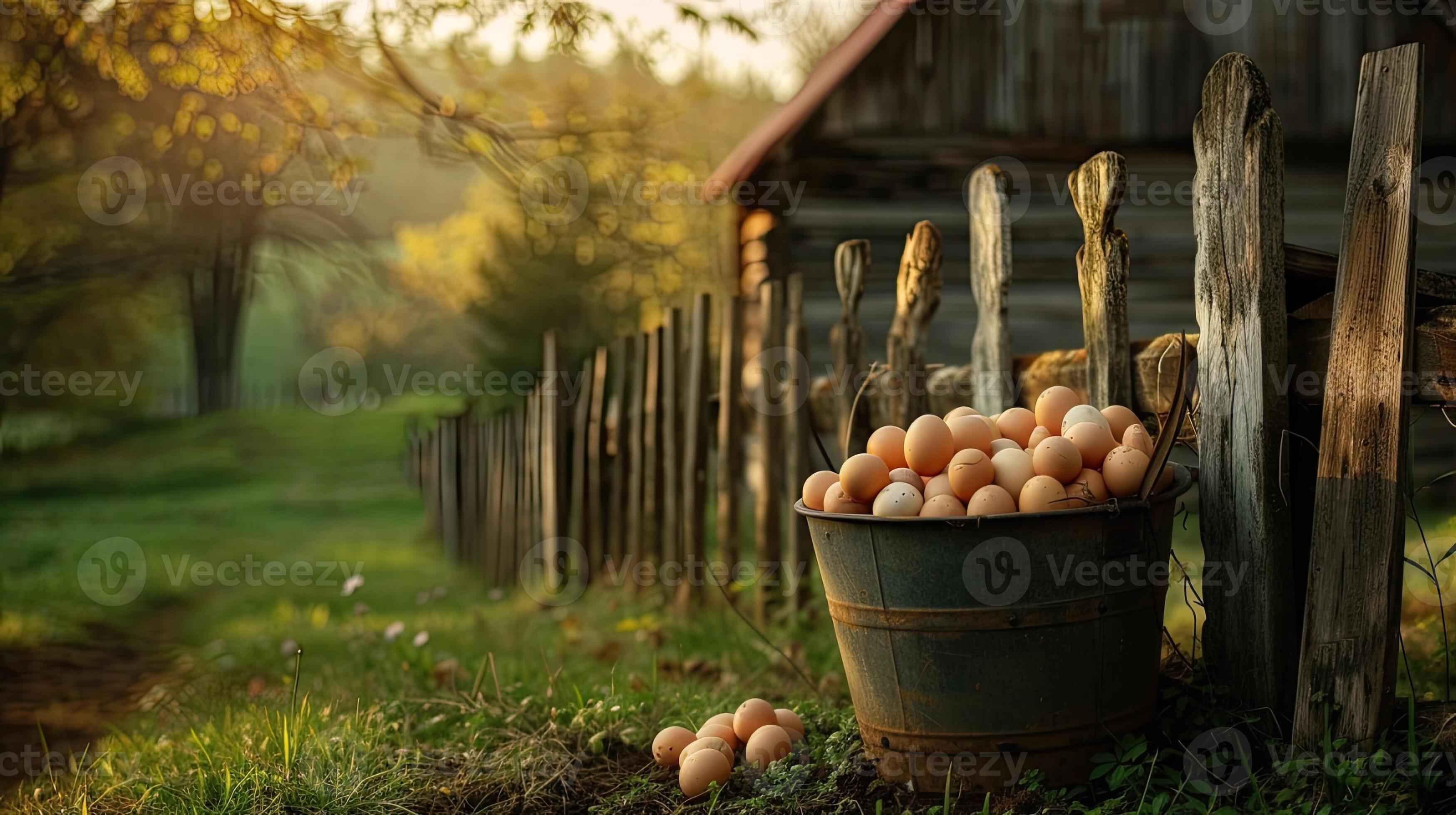 AI Generated a sturdy bucket brimming with freshly collected eggs ...