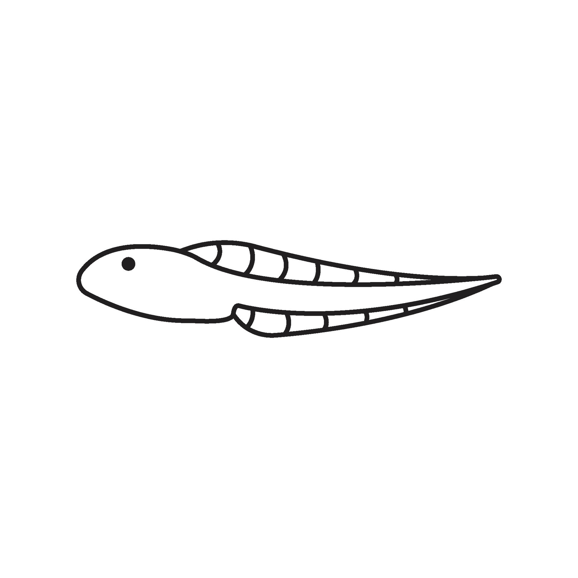 Tadpole Icon Vector 39578873 Vector Art At Vecteezy