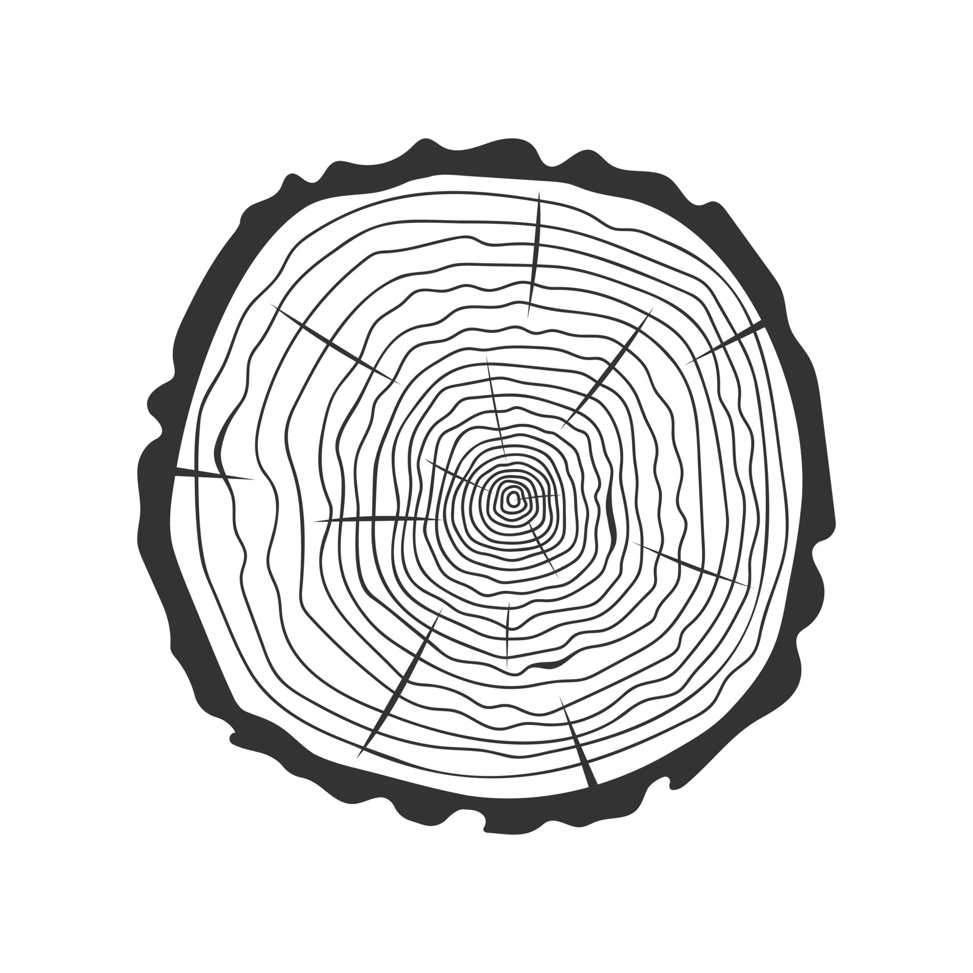 Tree Rings Stamp Trunk Cross Section Wooden Doodle Texture