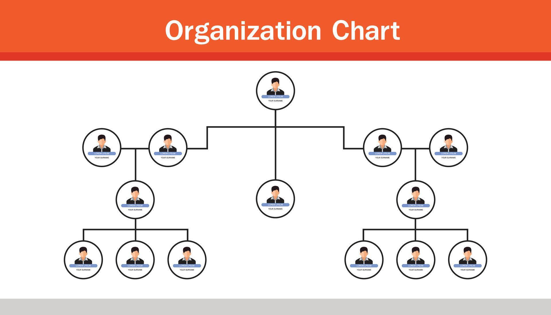 Organization Chart Infographics with People Icon and Abstract Line ...