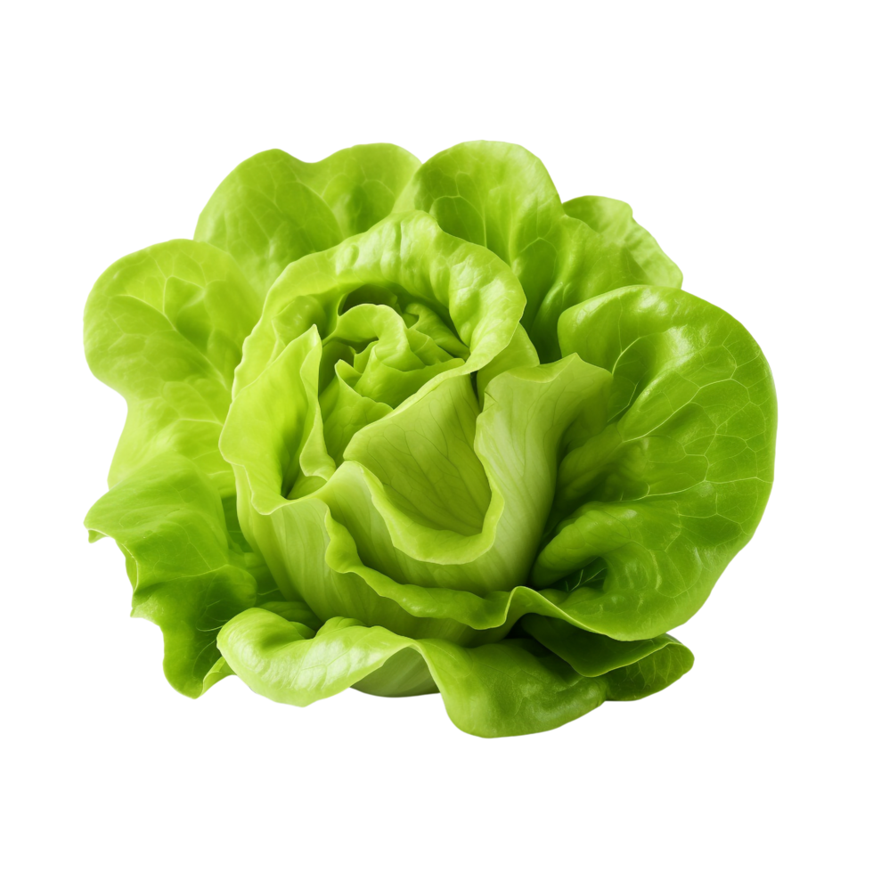 AI generated Green lettuce clip art 39853394 PNG