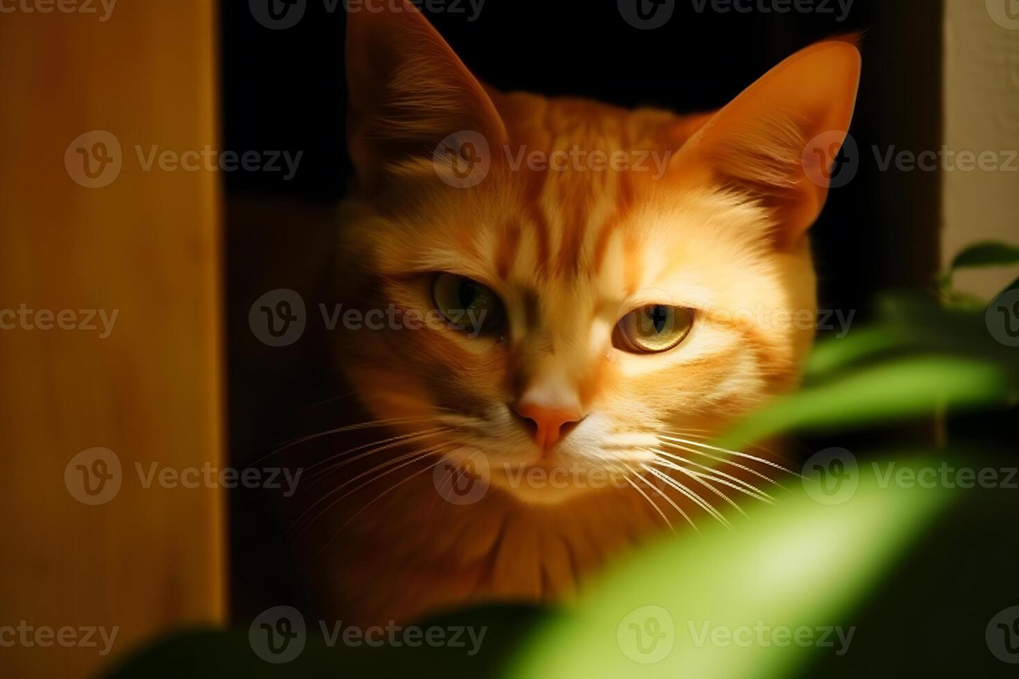 AI generated Curious cat peeking around a corner. Neural network AI generated 39853673 Stock ...