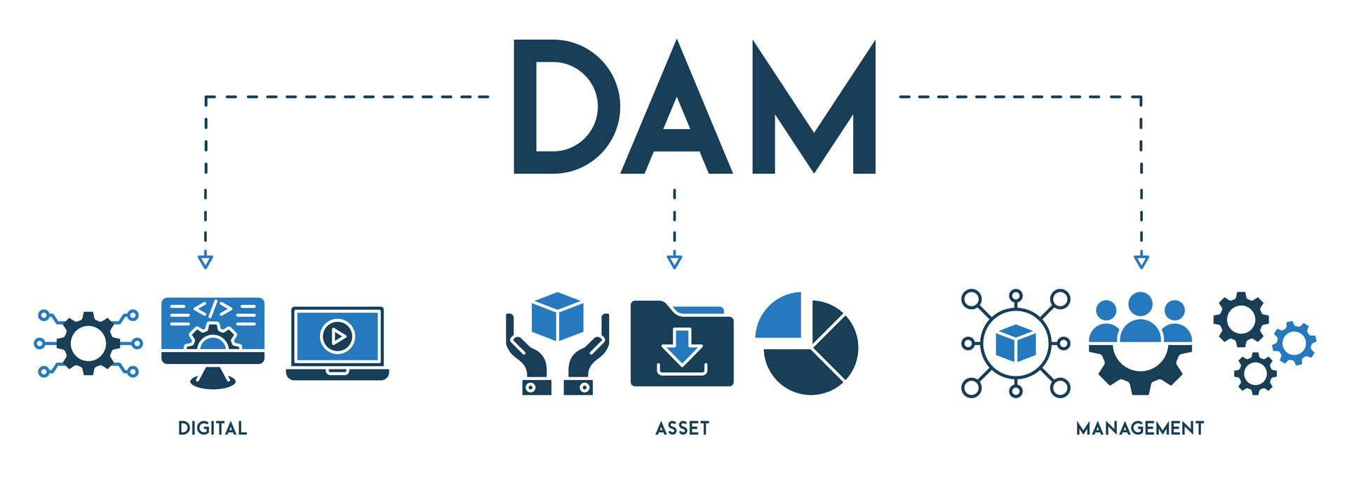 DAM Digital Asset Management Organization banner website icon vector ... DAM Digital Asset Management Organization banner website icon vector ...