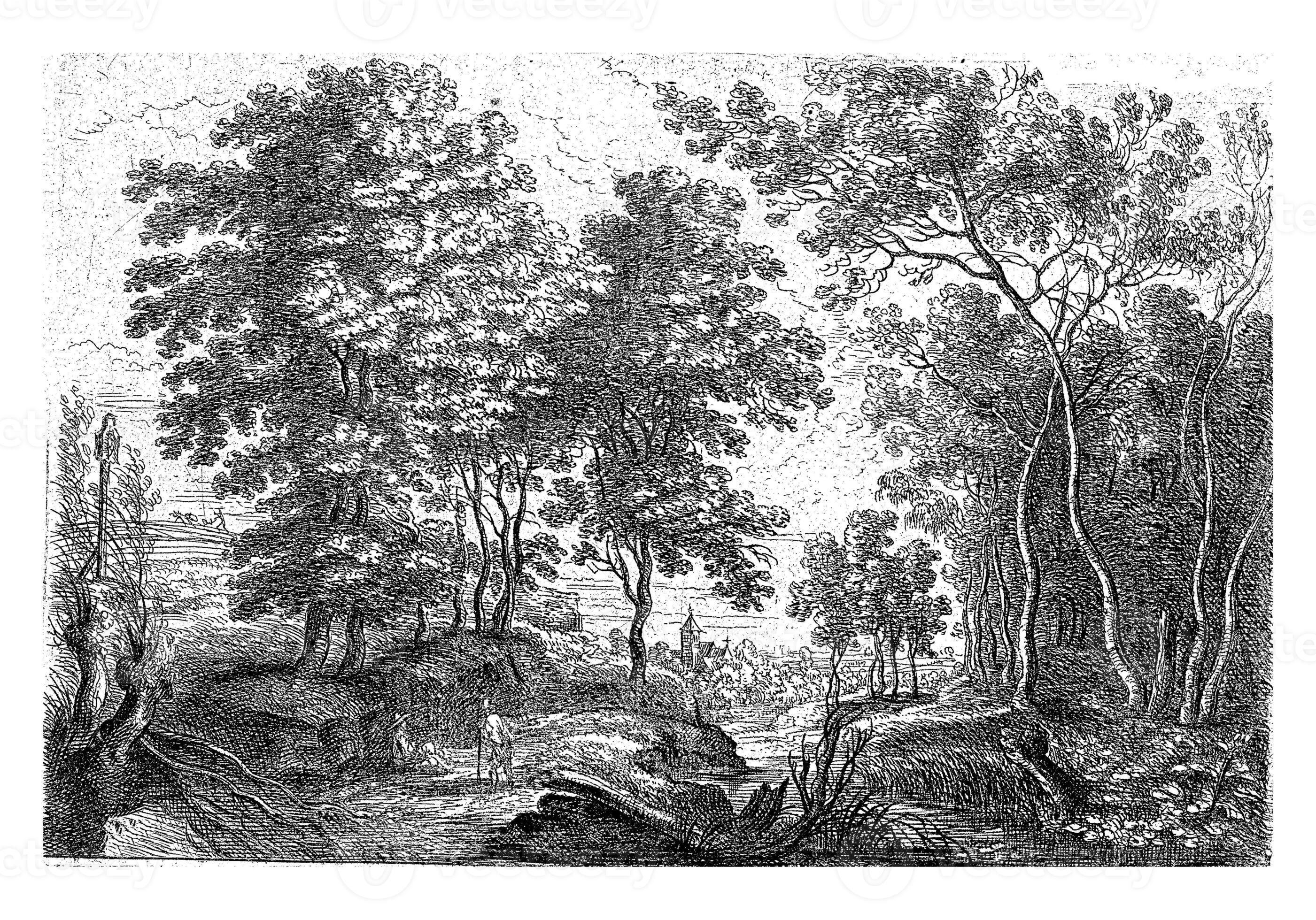 Landscape with a Stream through a Wood 40116562 Stock Photo at Vecteezy Landscape with a Stream through a Wood 40116562 Stock Photo at Vecteezy
