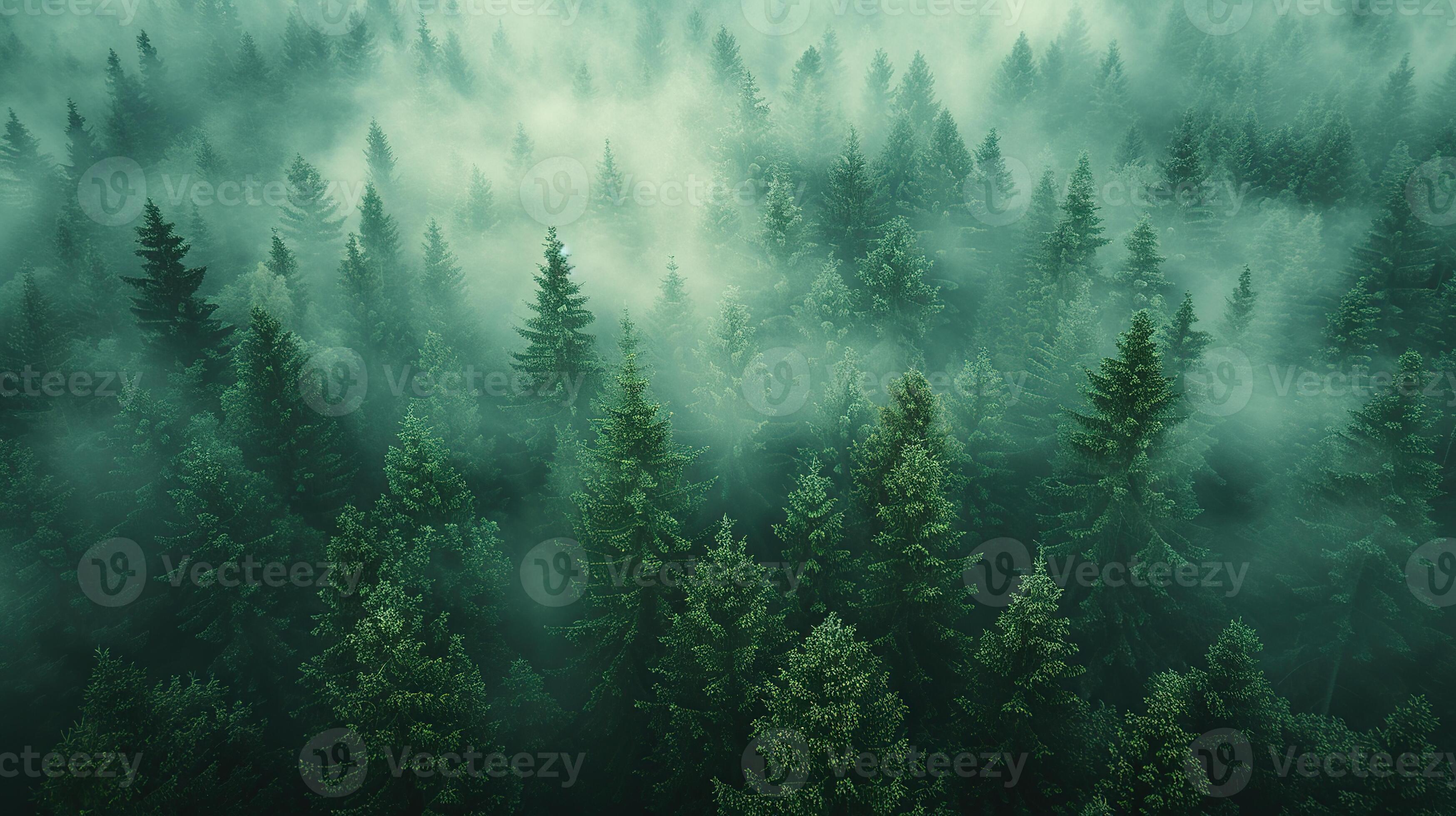 AI generated Forest in the fog, top view. Background. Created with ...
