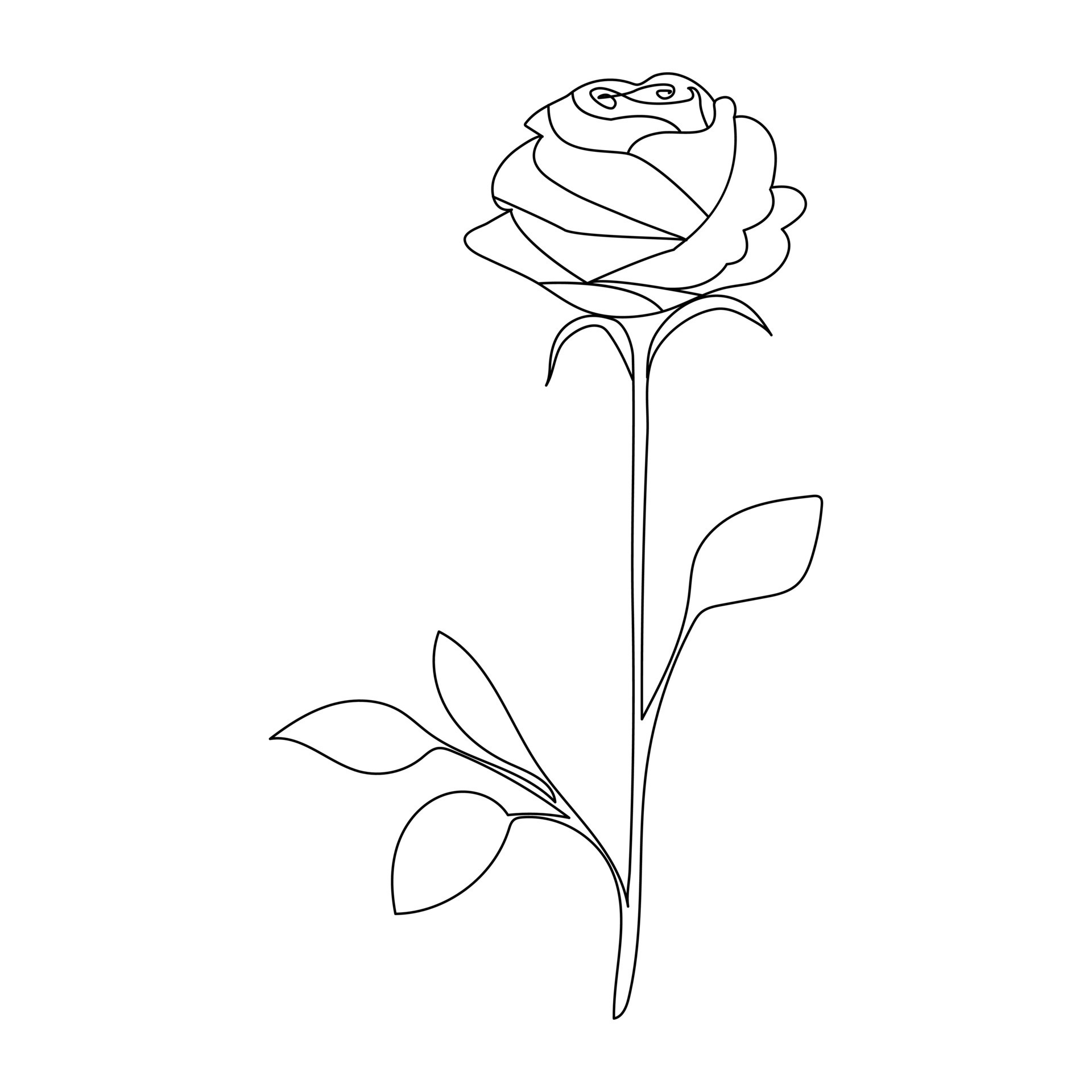 Continuous Single One Line Rose Design Hand Drawn Drawing Roses Line