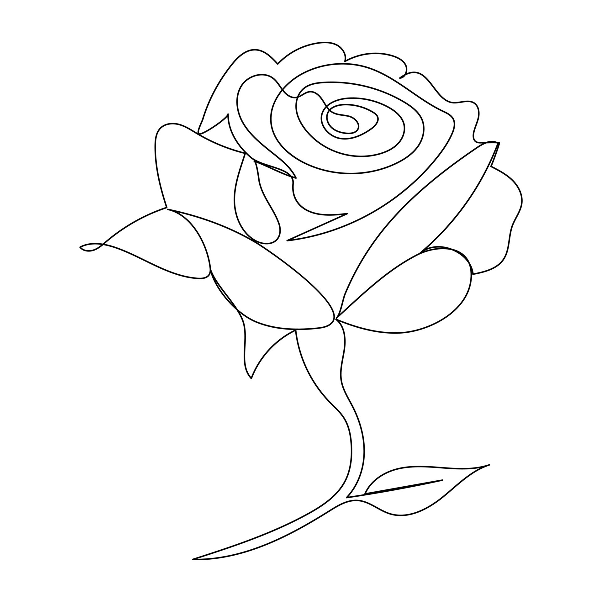 Continuous Single One Line Rose Design Hand Drawn Drawing Roses Line