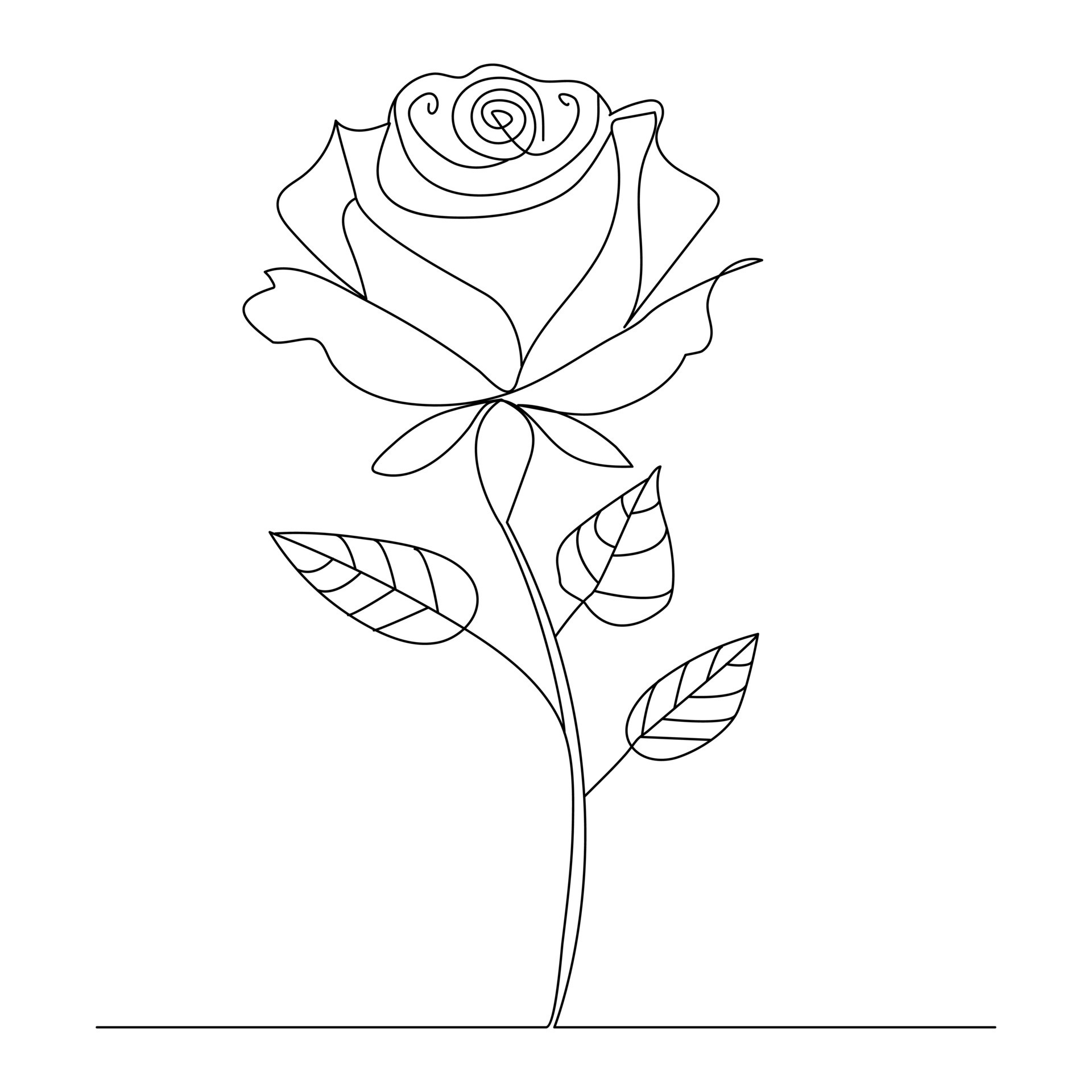 Continuous Single One Line Rose Design Hand Drawn Drawing Roses Line