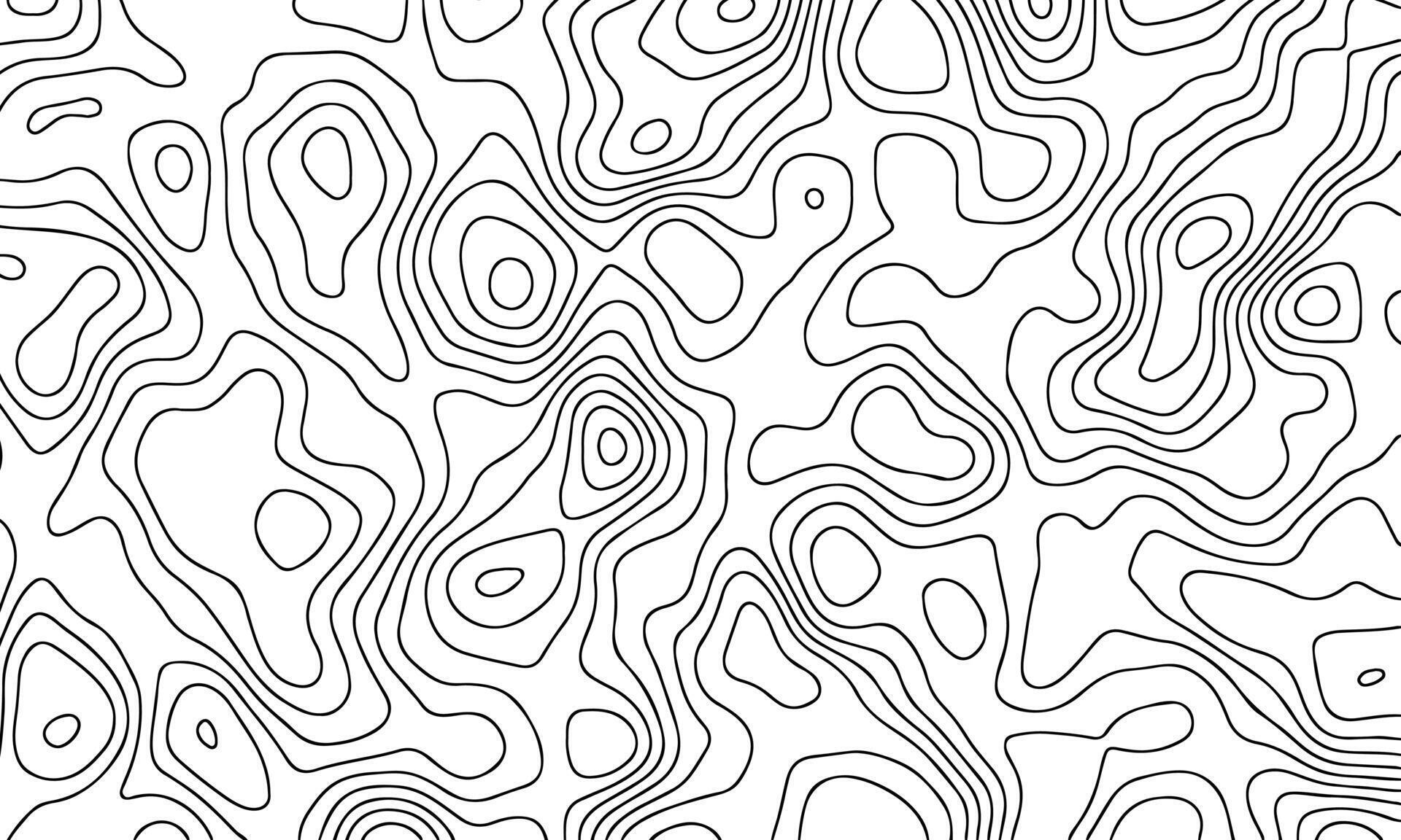 Vector pattern topographic map. Very suitable for mapping needs ...