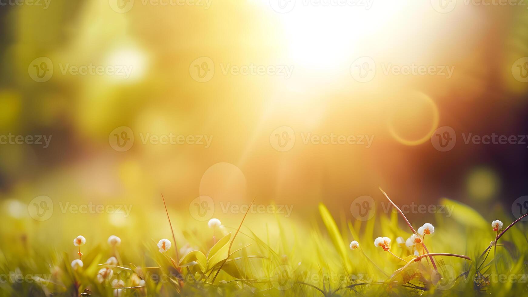 Spring Summer Background Stock Photos, Images and Backgrounds for Free ...