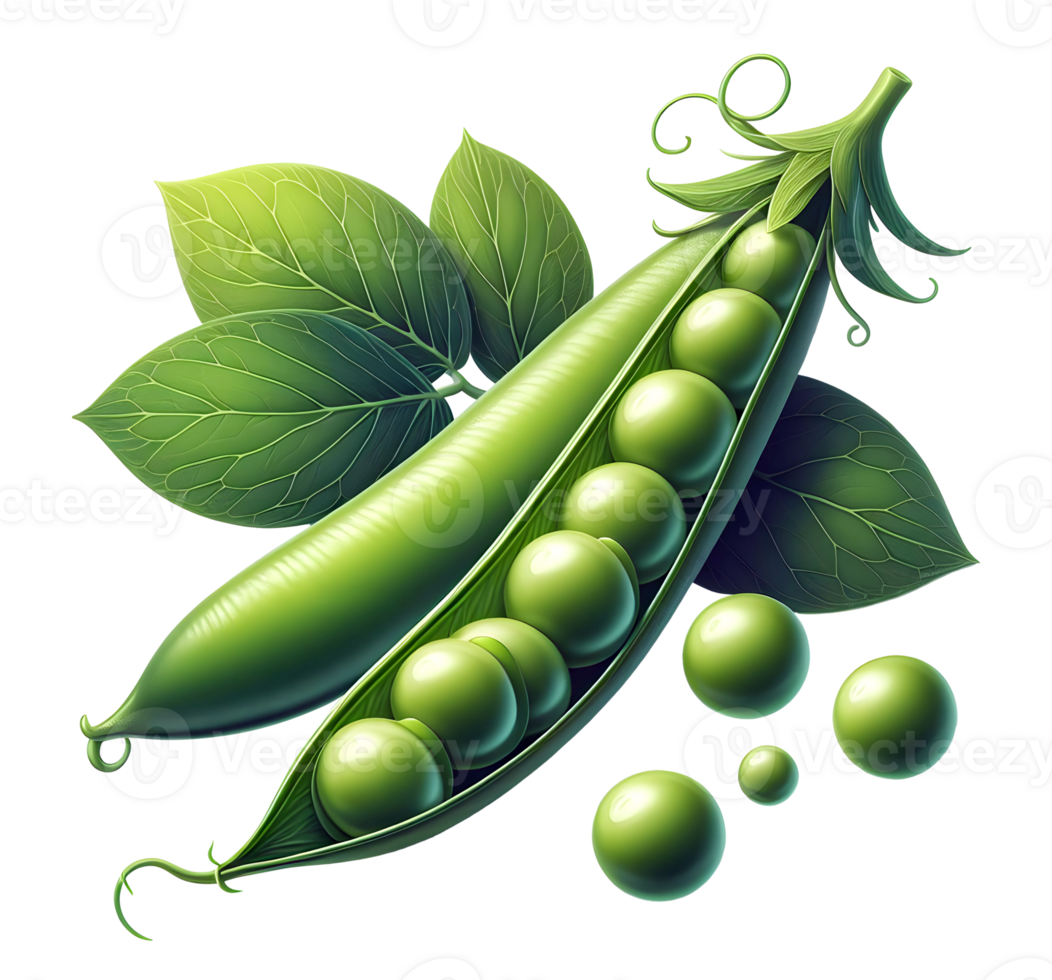 AI generated Peas png green peas png pea png green pea png peas ...