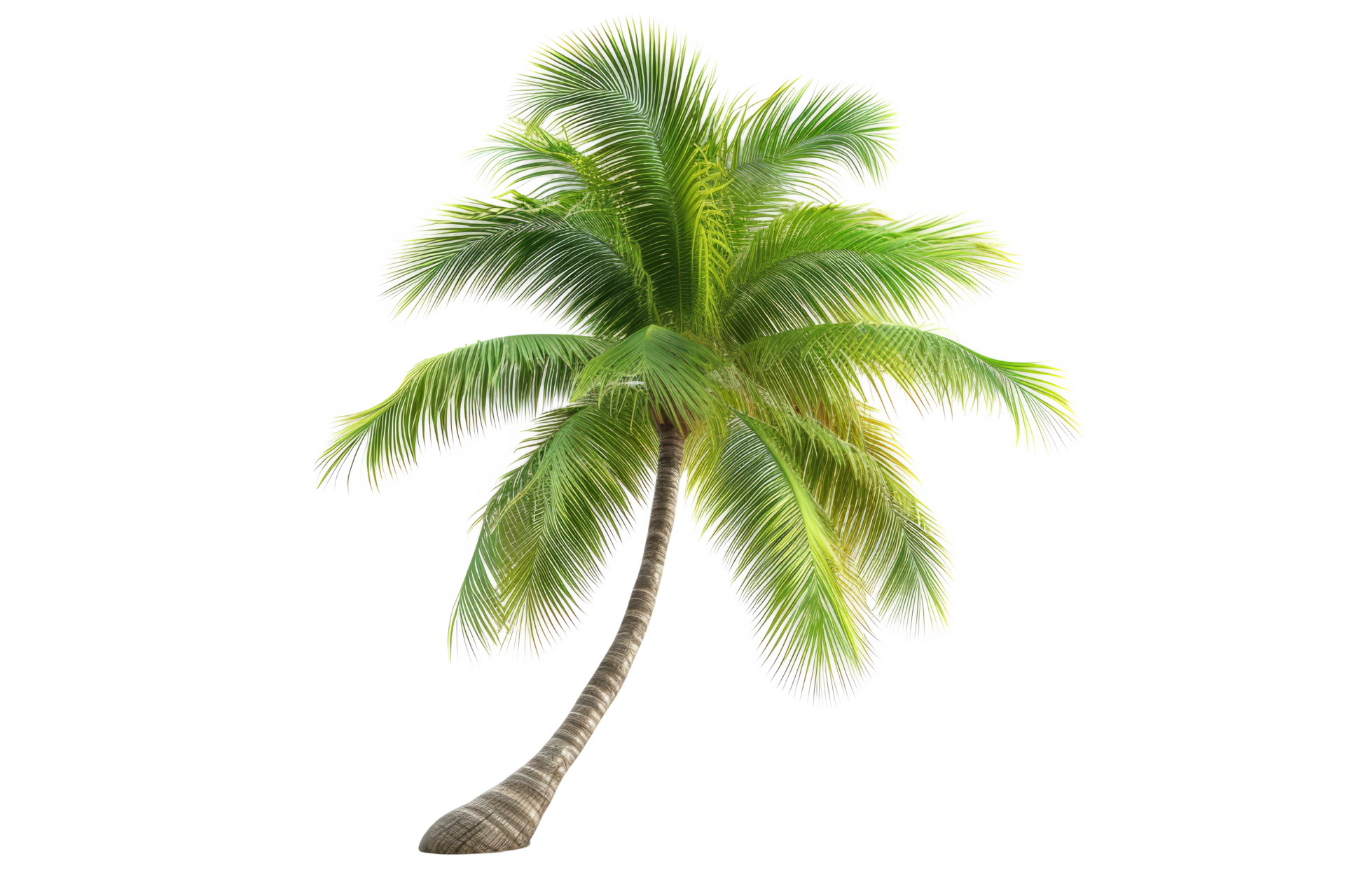 AI generated Palm Tree Isolated 40453426 PNG