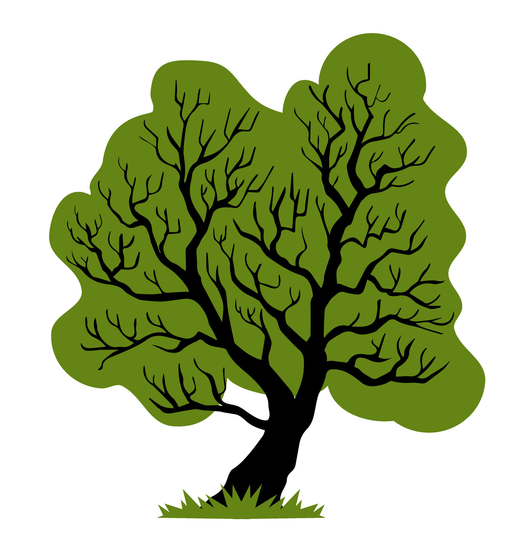 hand drawn tree isolated vector 40519617 Vector Art at Vecteezy