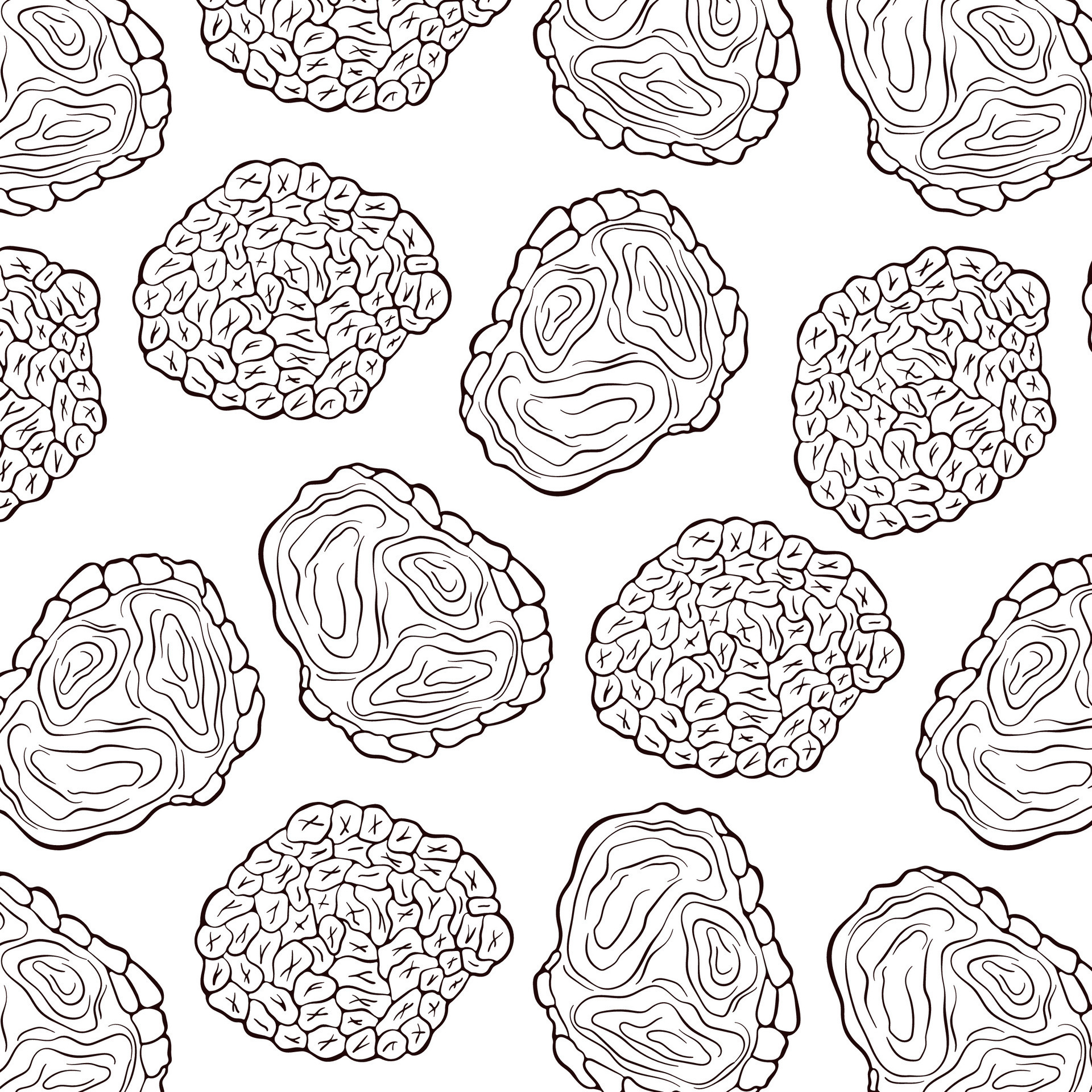 Truffle Mushrooms Seamless Pattern Line Art Style For Wrapping Paper Wallpaper Textiles