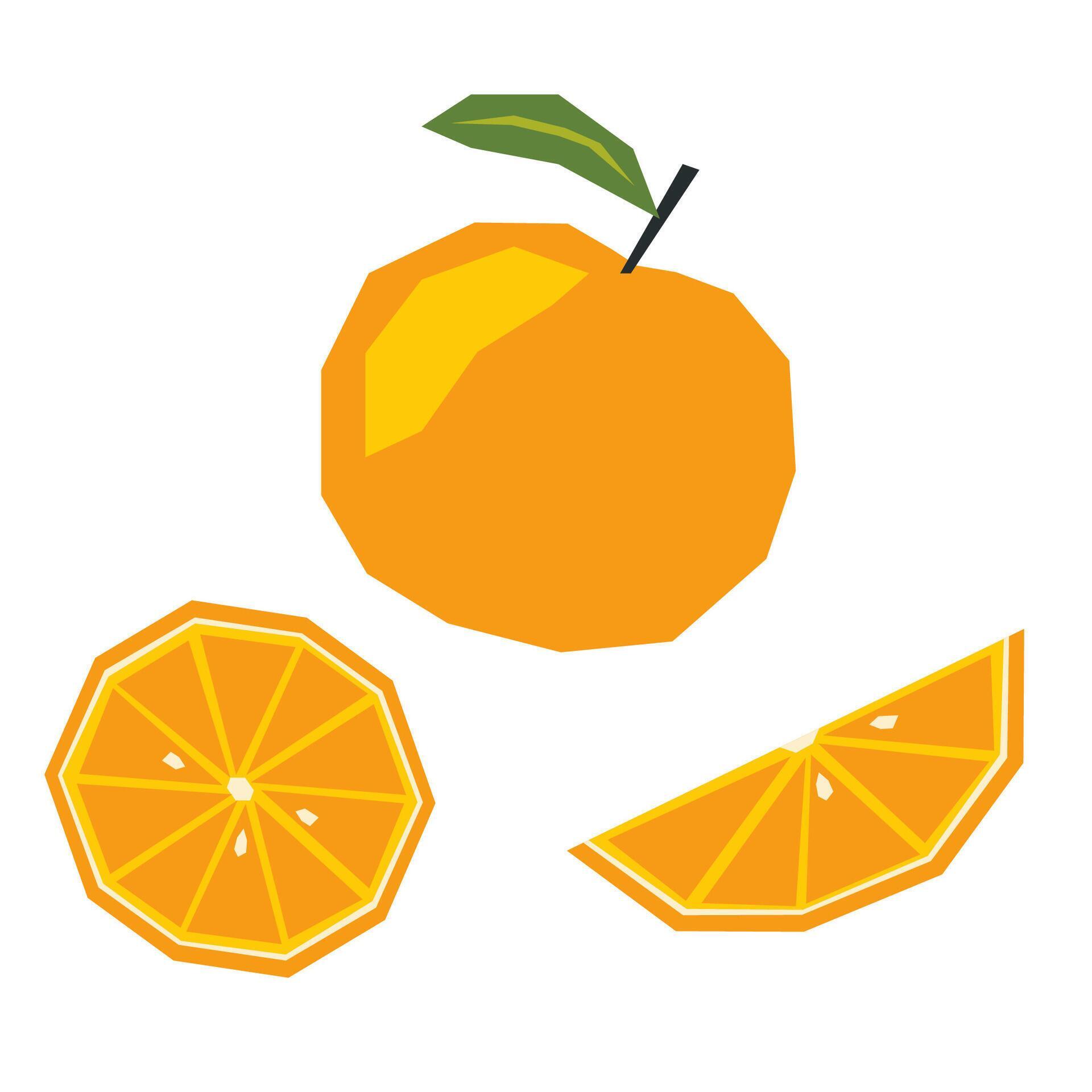 Colorful cutout orange. Fruit shape colored cardboard or paper. Funny ...