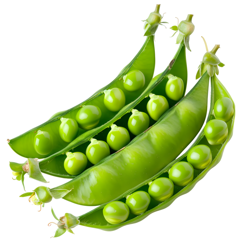 AI generated 3D Rendering of a Green Peas on Transparent Background ...