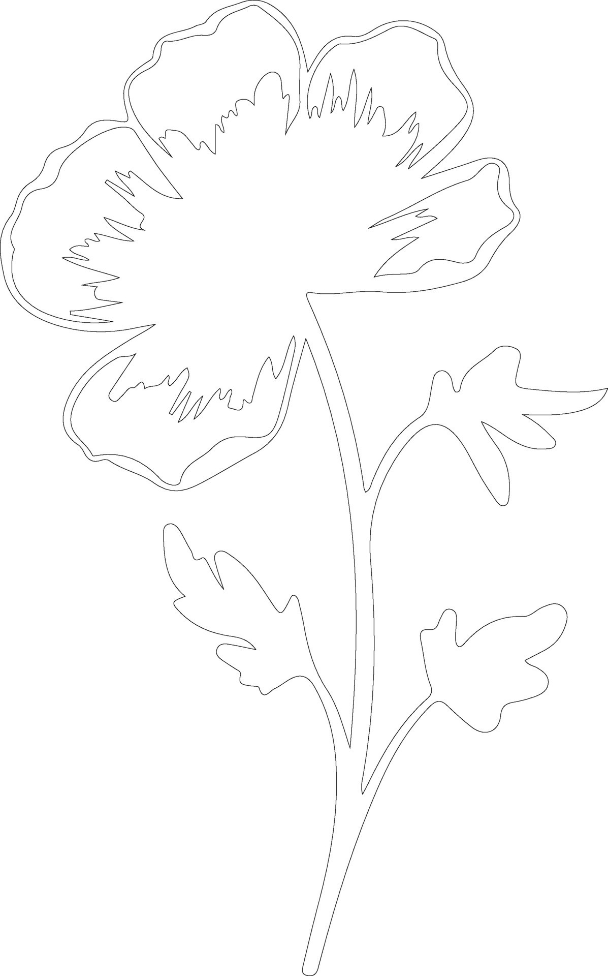 Ai Generated Buttercup Outline Silhouette 40542812 Vector Art At Vecteezy