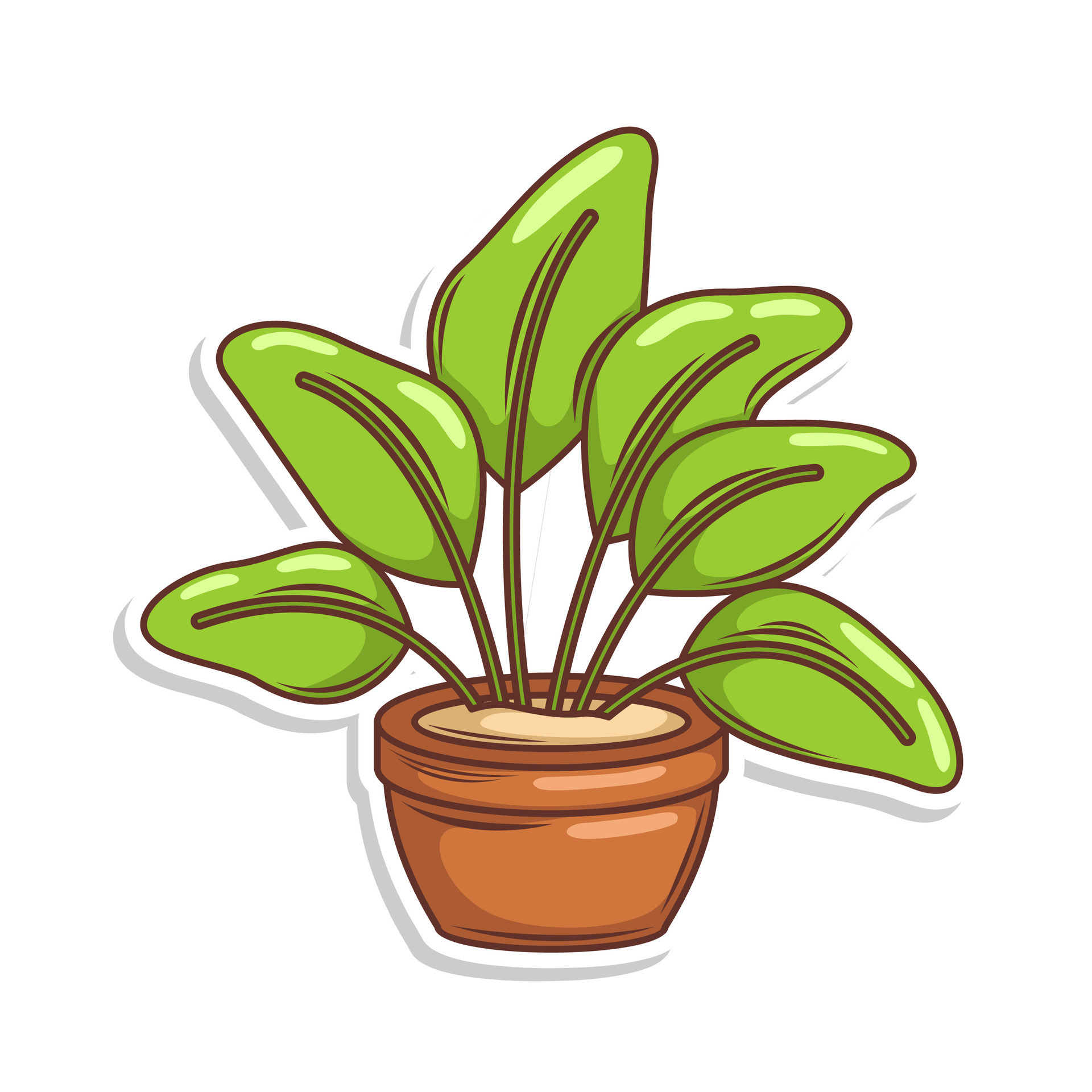 Home Plant Cartoon Style Potted Plant Isolated On White 40558642 Vector Art At Vecteezy