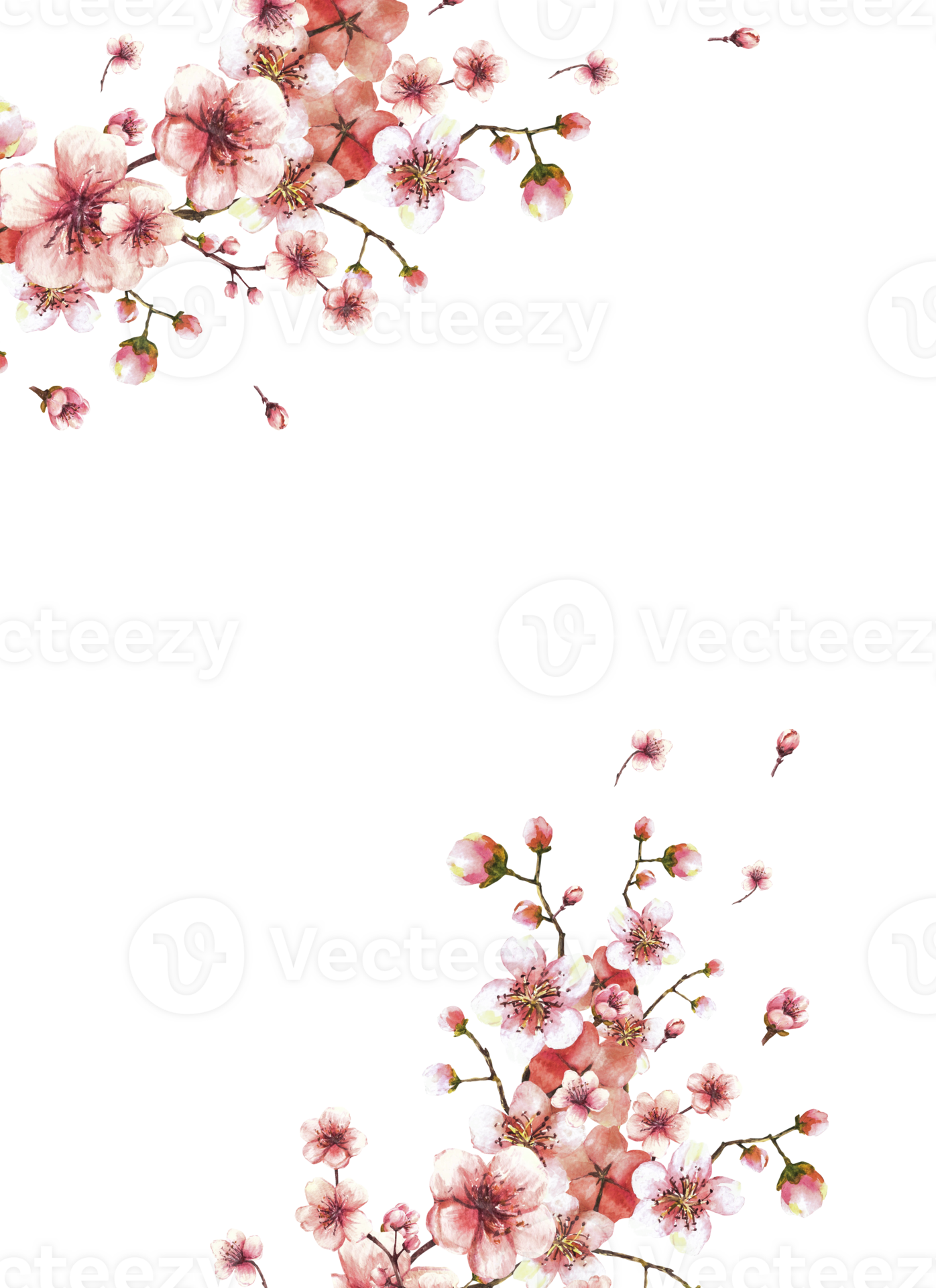 A blossoming branch from spring tree template. Sakura, cherry, apple or ...