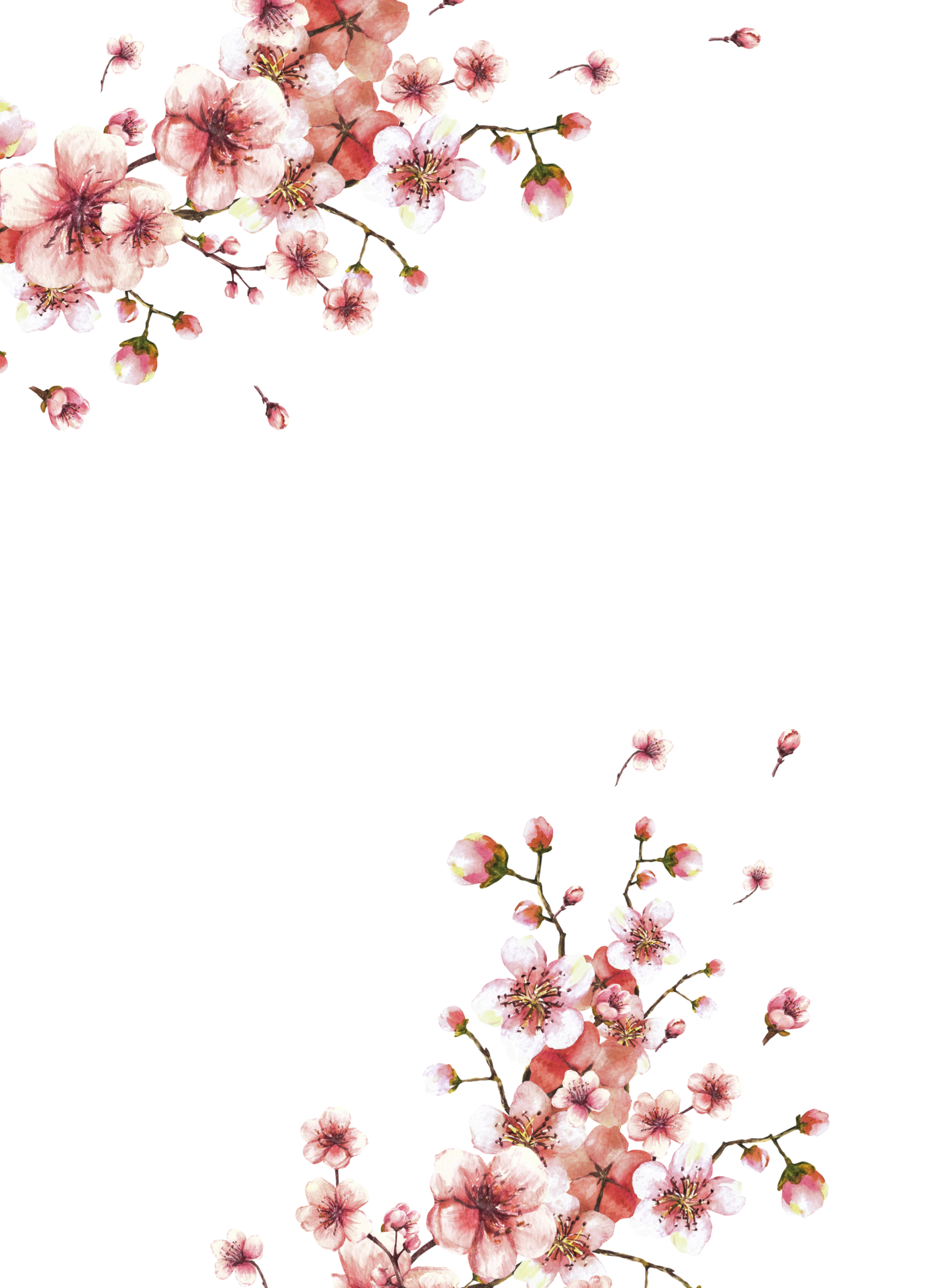 A blossoming branch from spring tree template. Sakura, cherry, apple or ...