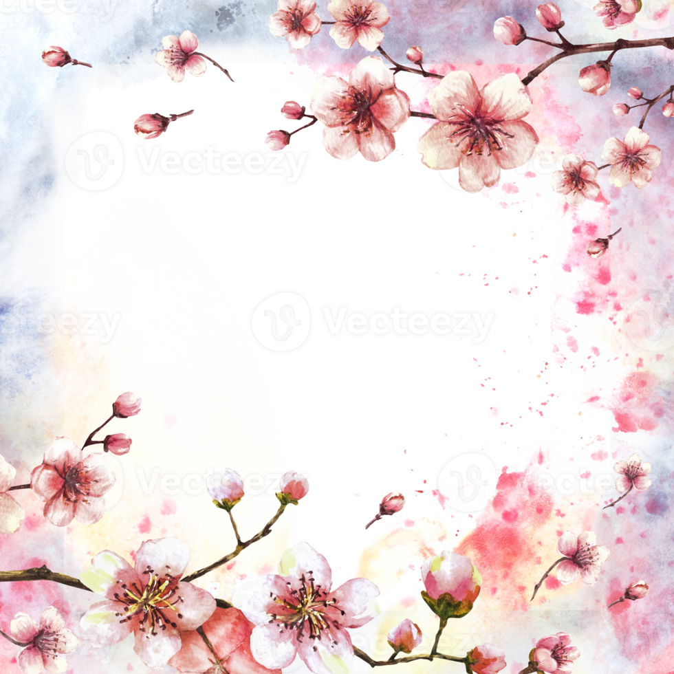 Branch of spring flowering tree illustration. Hand drawn blossoms ...