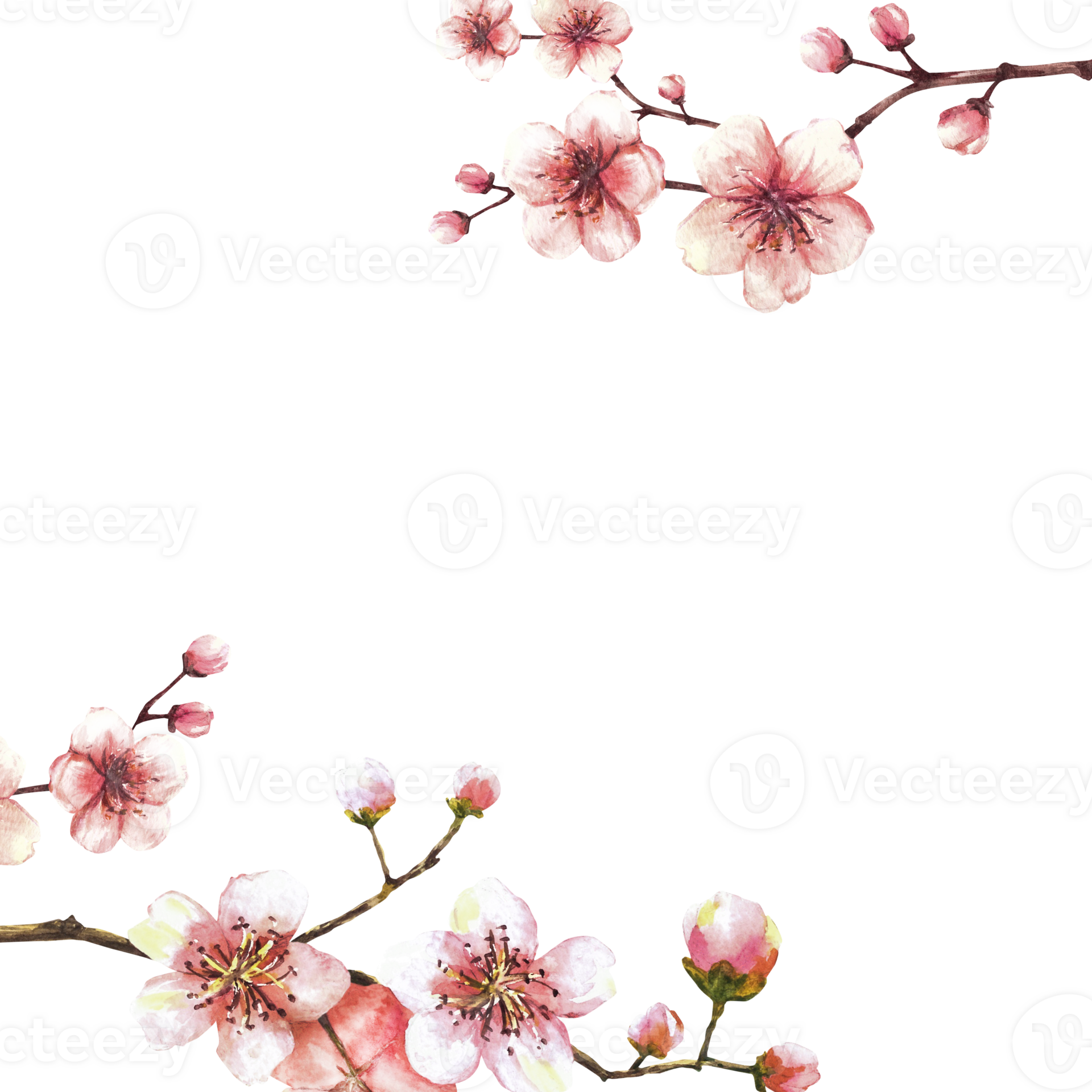 A blossoming branch from spring tree template. Sakura, cherry, apple or ...