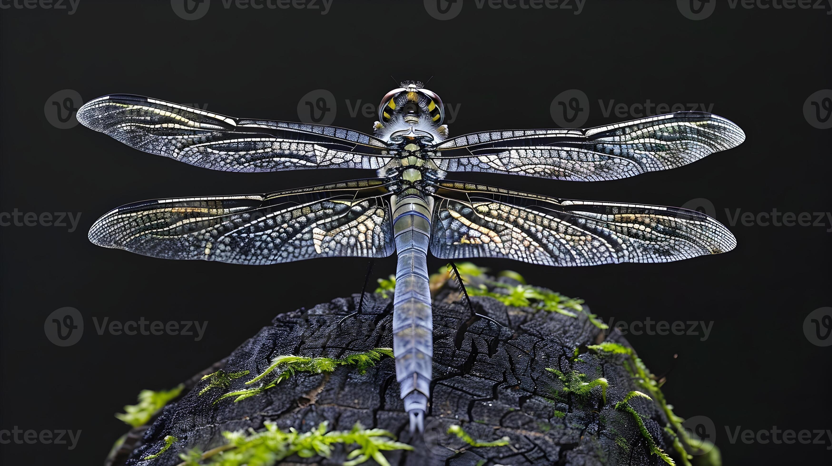 AI generated Iridescent Dragonfly Perched on Moss-Covered Log in Soft Moonlight, Showcasing ...