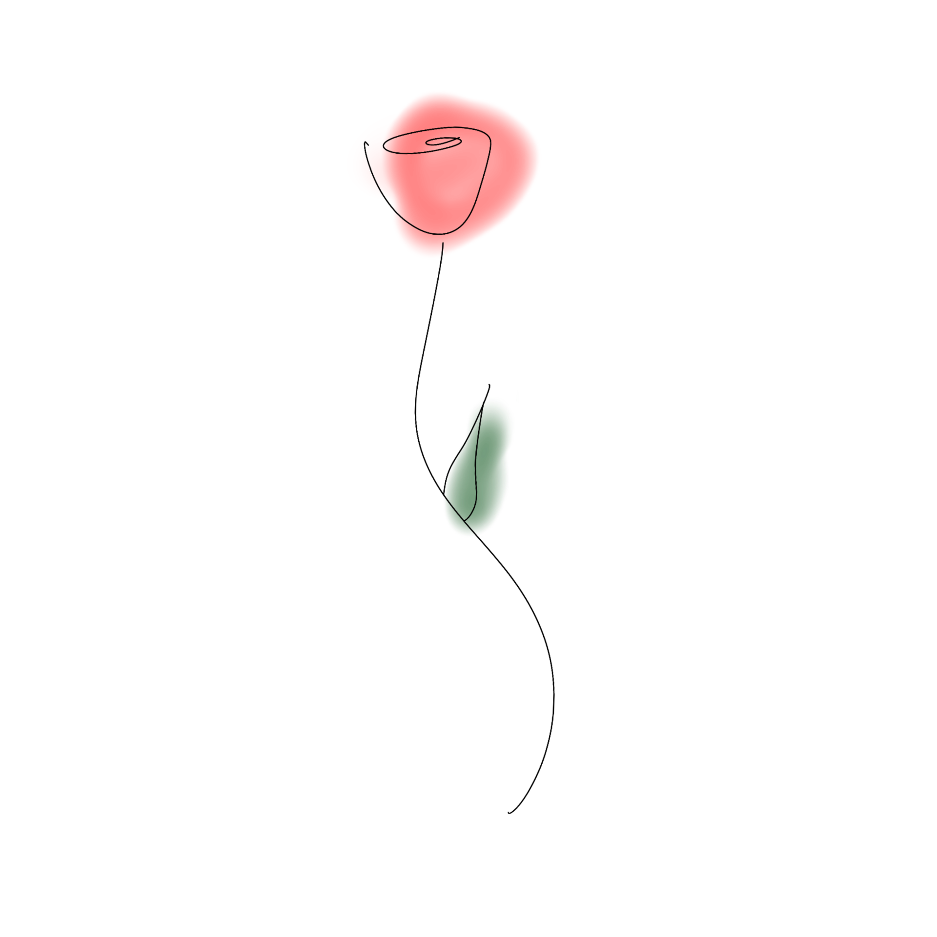 Red Rose Line Art 40904303 Png