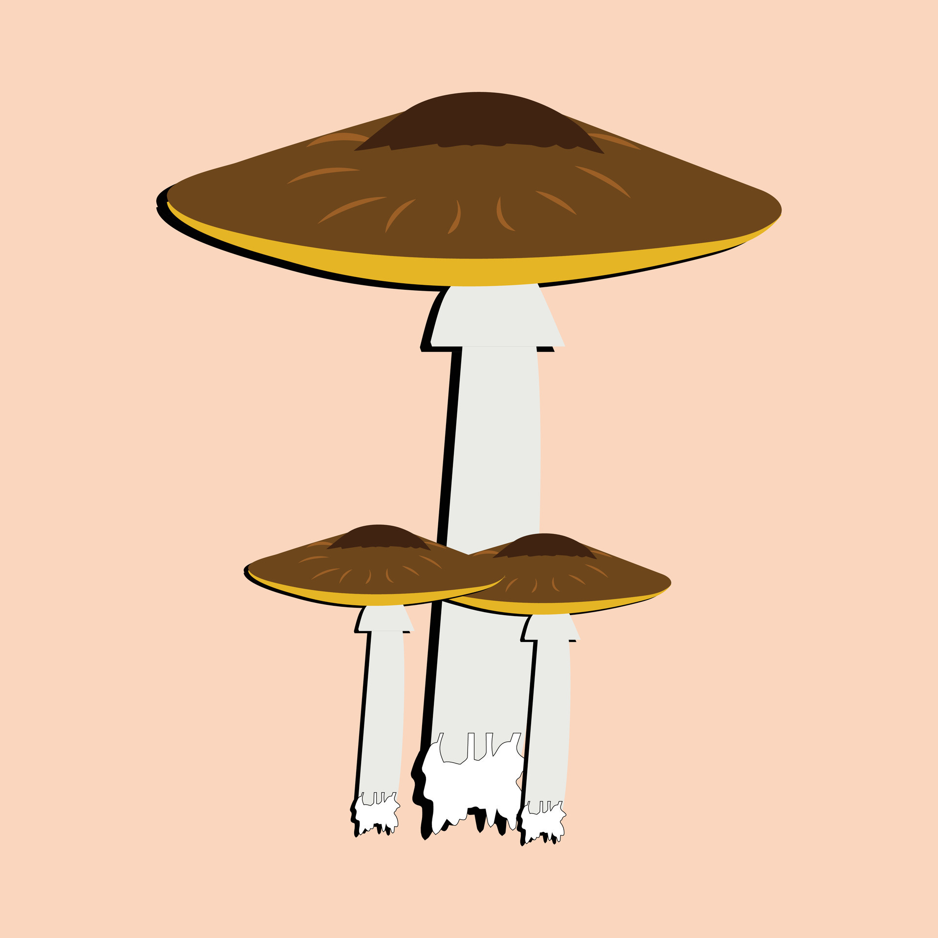 Mushroom flat design cartoon different mushrooms vector illustration ... Mushroom flat design cartoon different mushrooms vector illustration ...