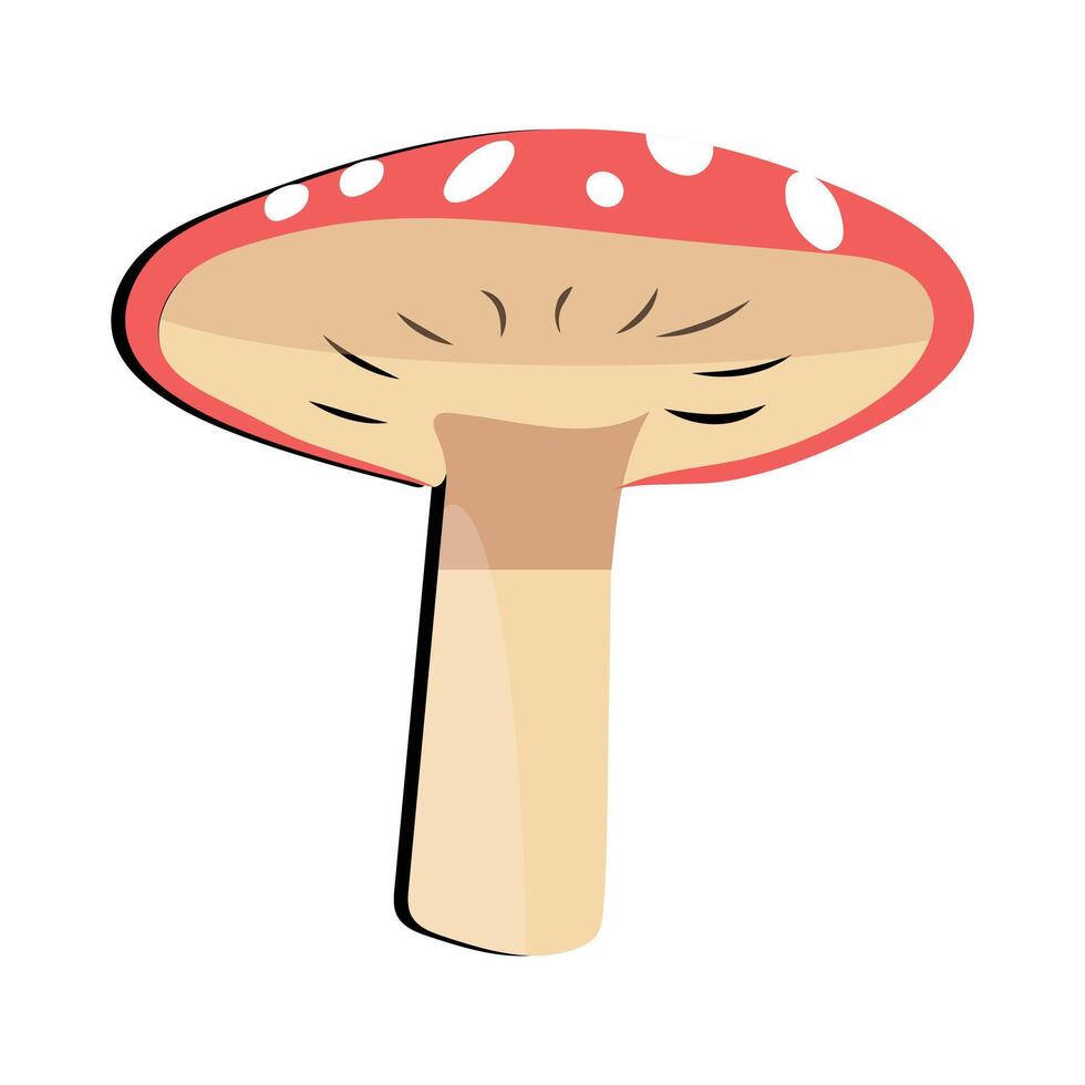 Mushroom flat design cartoon different mushrooms vector illustration ... Mushroom flat design cartoon different mushrooms vector illustration ...