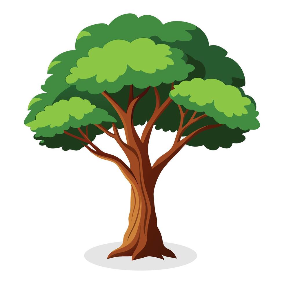 Teak tree Isolated flat vector illustration 41138469 Vector Art at Vecteezy