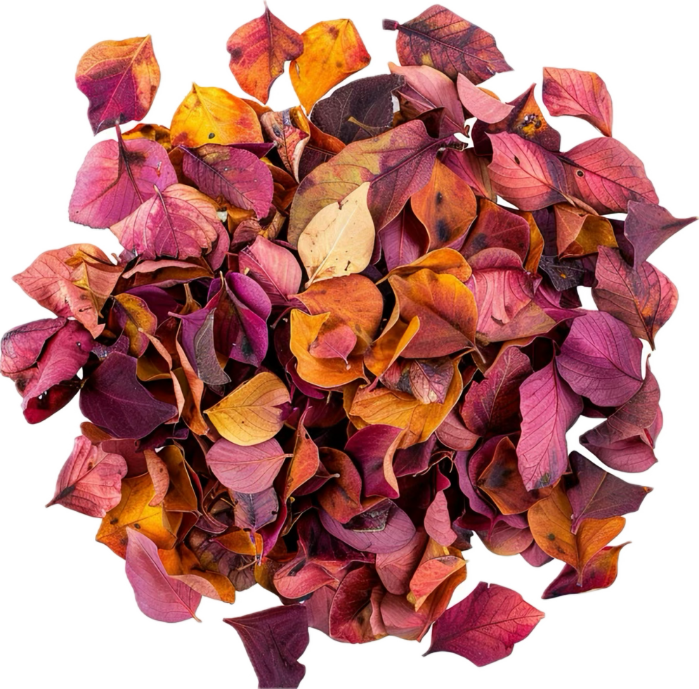 AI generated Vibrant Autumn Leaves Pile png 41166480 PNG