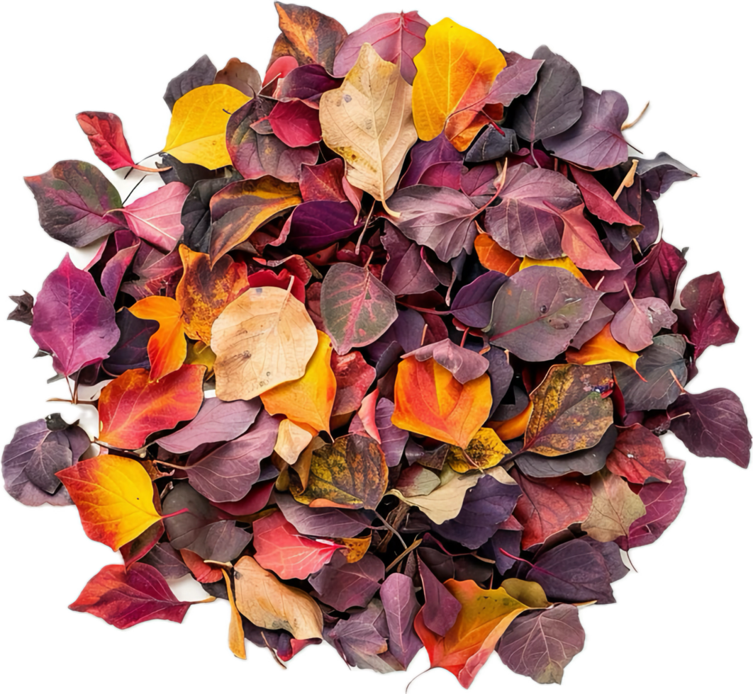 AI generated Vibrant Autumn Leaves Pile png 41166661 PNG