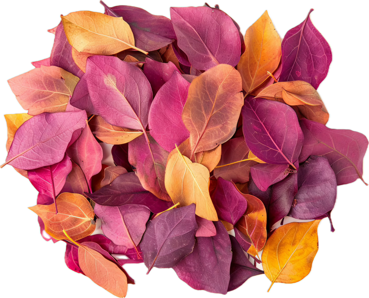 AI generated Vibrant Autumn Leaves Pile png 41166693 PNG