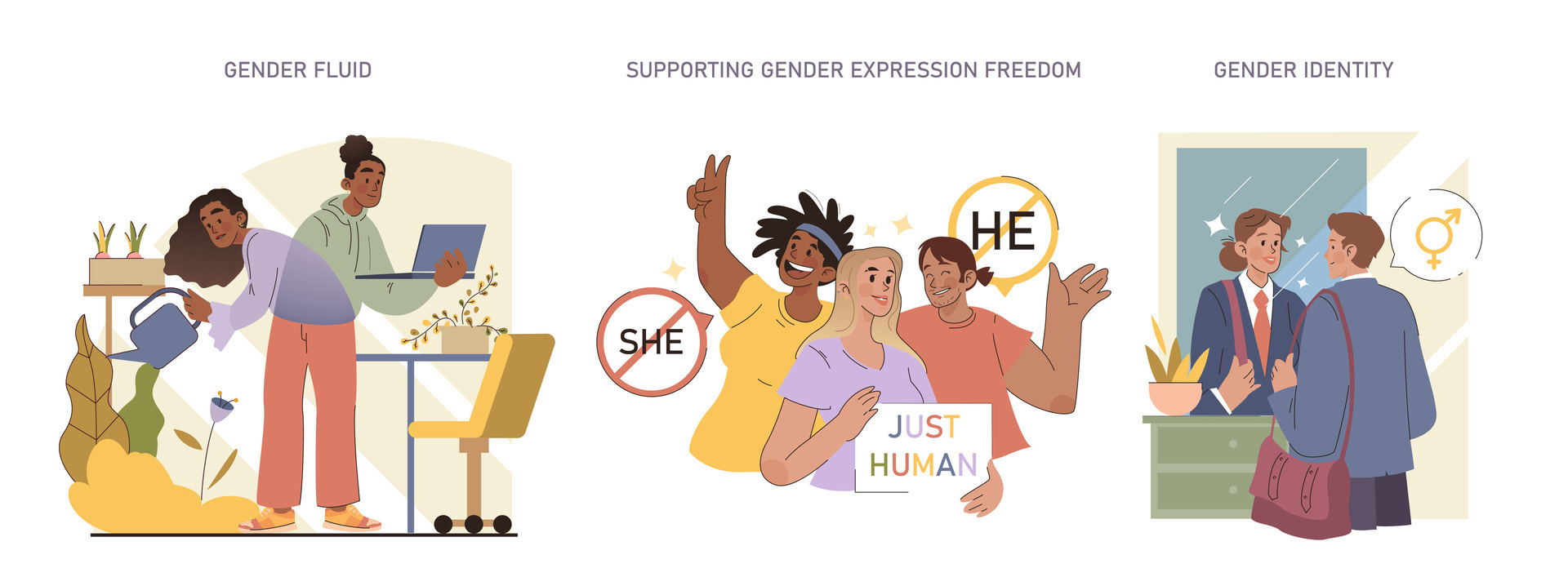 Gender Evolution set. 41175878 Vector Art at Vecteezy