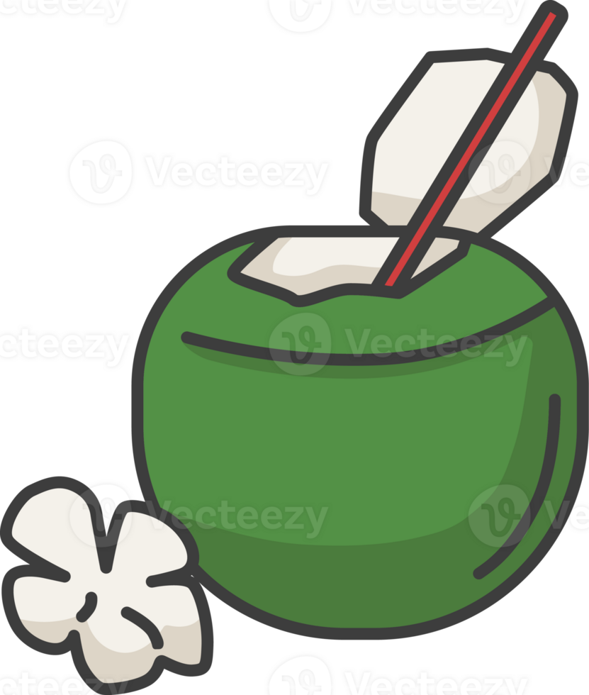 Coconut icon, Thailand flat icons, flat Color Line. 41267716 PNG Coconut icon, Thailand flat icons, flat Color Line. 41267716 PNG