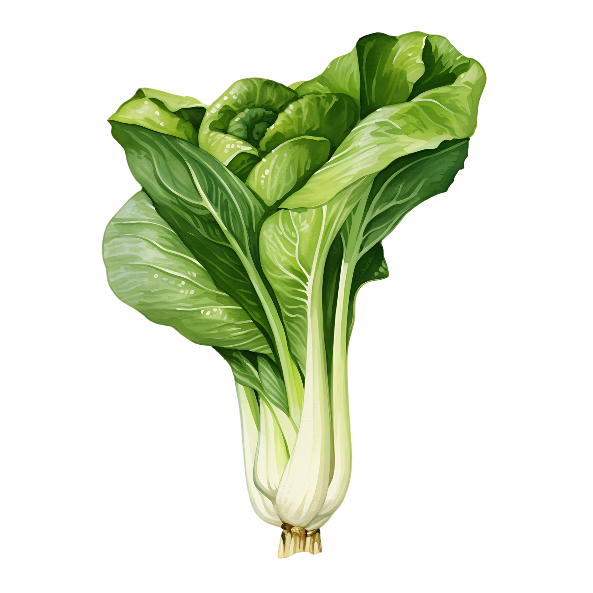 AI generated Transparent Background for Bok Choy, Providing Maximum ... AI generated Transparent Background for Bok Choy, Providing Maximum ...