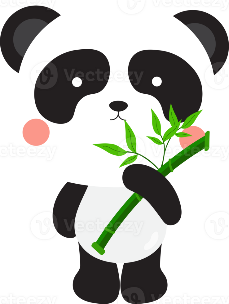 Cute Teddy Bear 41310464 Png