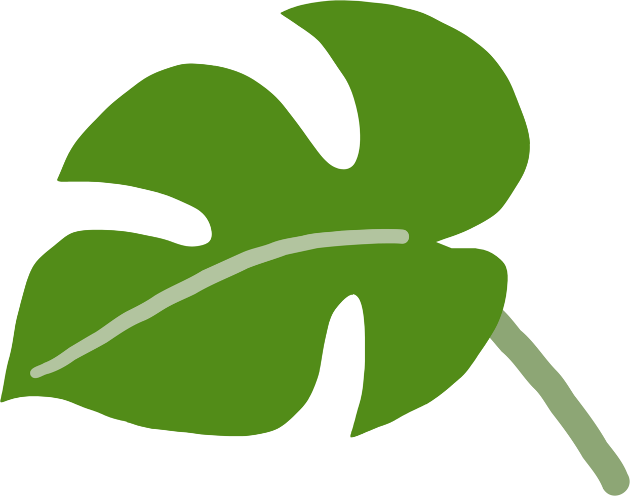 Simplicité Feuille De Monstera Dessin à Main Levée Design Plat 41318376 Png