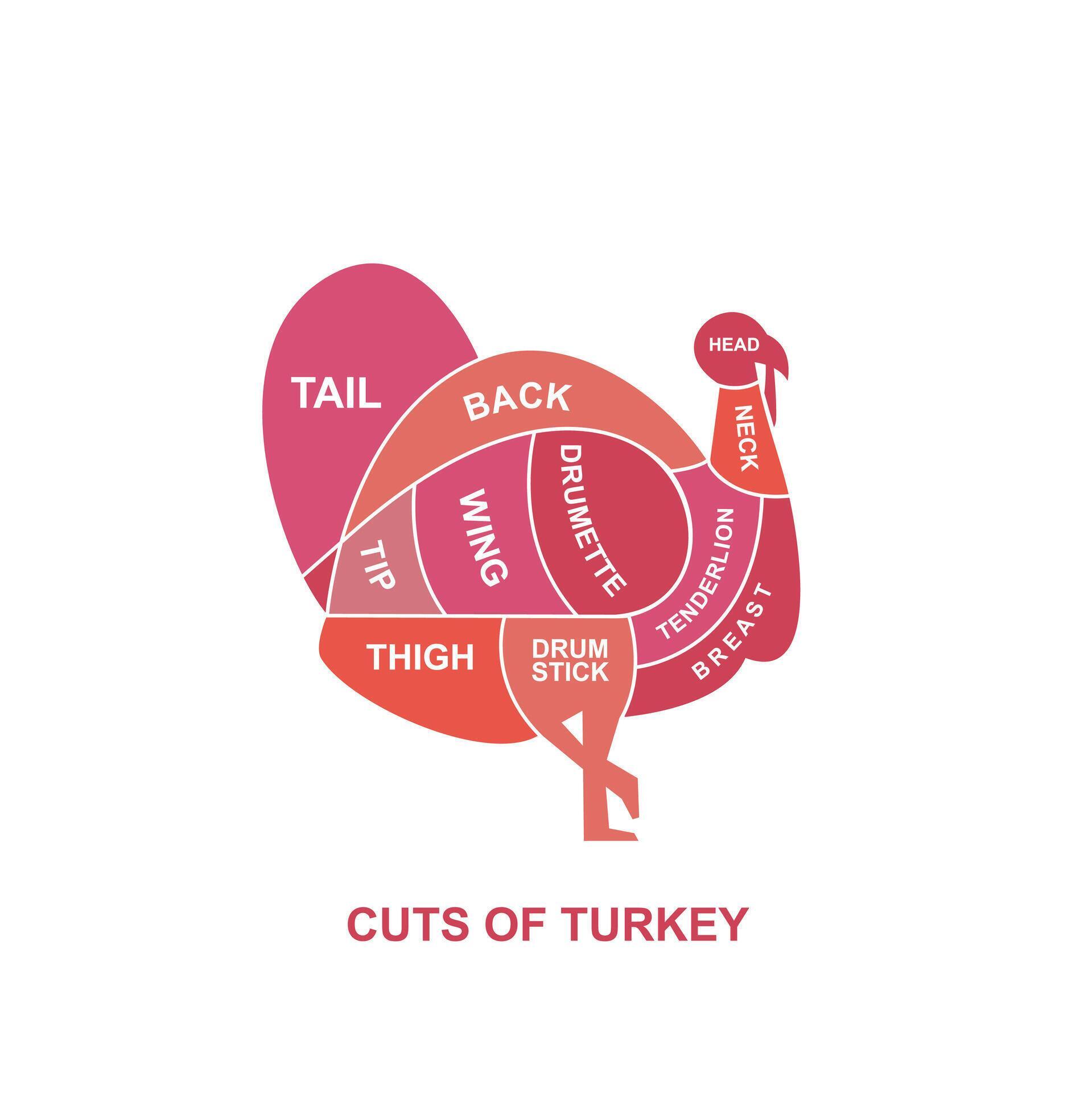 Vector Illustration Guide Meat Cuts Set Turkey Butcher Poster Diagrams And Schematics 41326793