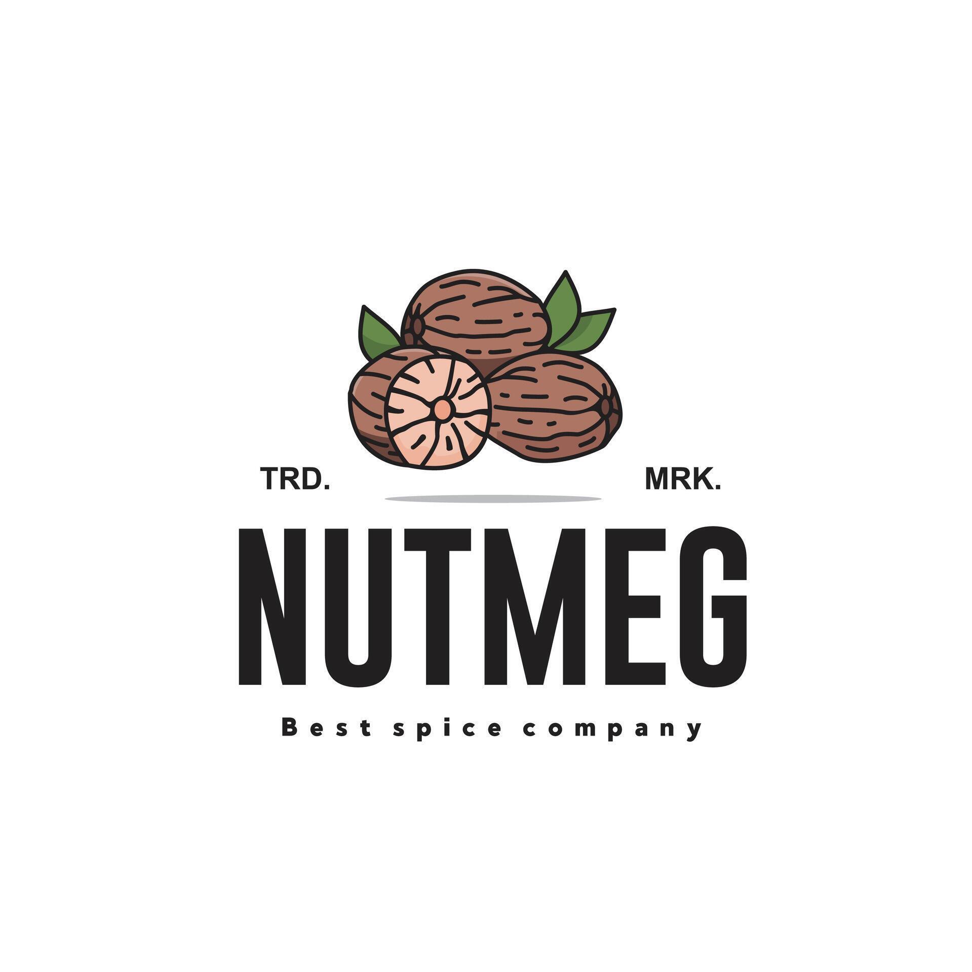 vector illustration of the nutmeg spice logo icon, nutmeg kitchen spice for the cooking industry ...