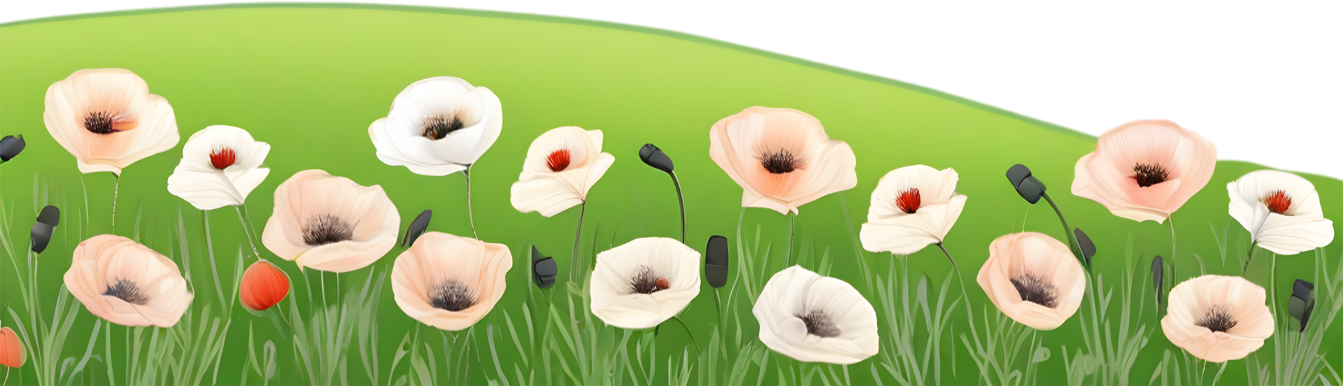 AI generated Wildflower field, Clipart of colorful spring wildflowers ...